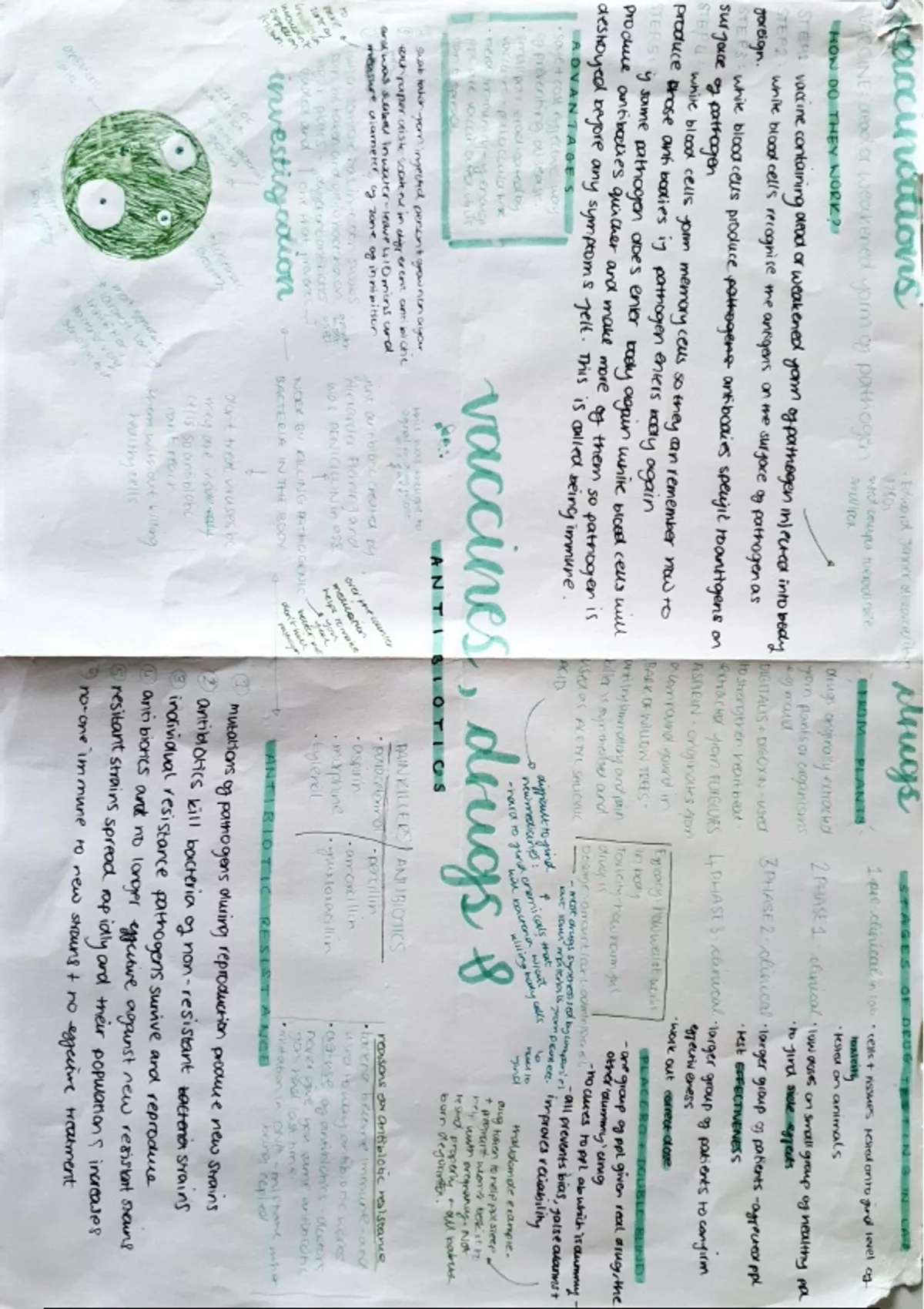 Summary GCSE Biology Paper 1: Vaccines, Drugs and Antibiotics notes ...