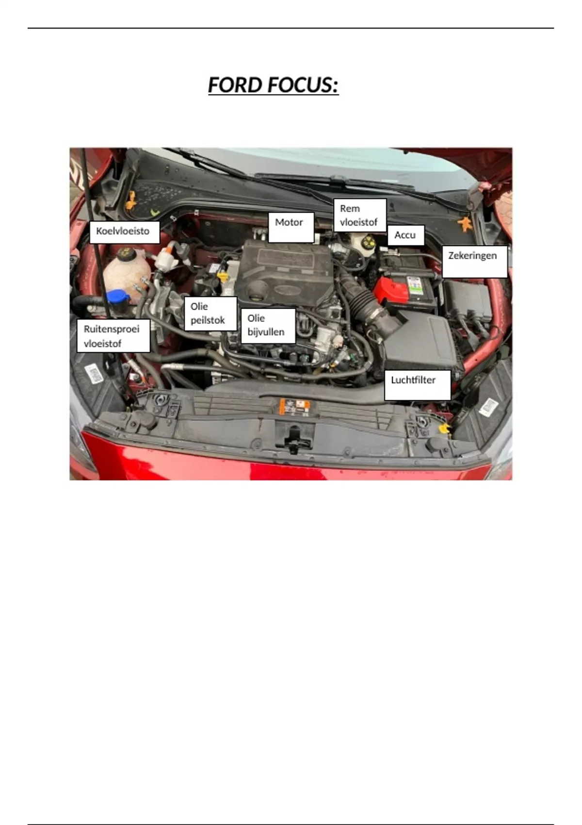 Alles wat JIJ wilt weten over de motorkap voor je auto-rijexamen! - CBR ...