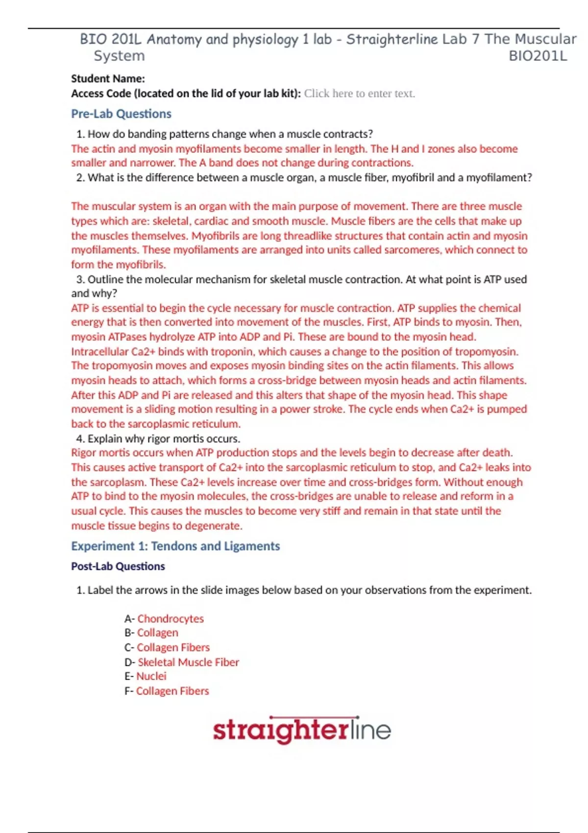 BIO 201L Anatomy and physiology 1 lab - Straighterline Lab 7 The ...