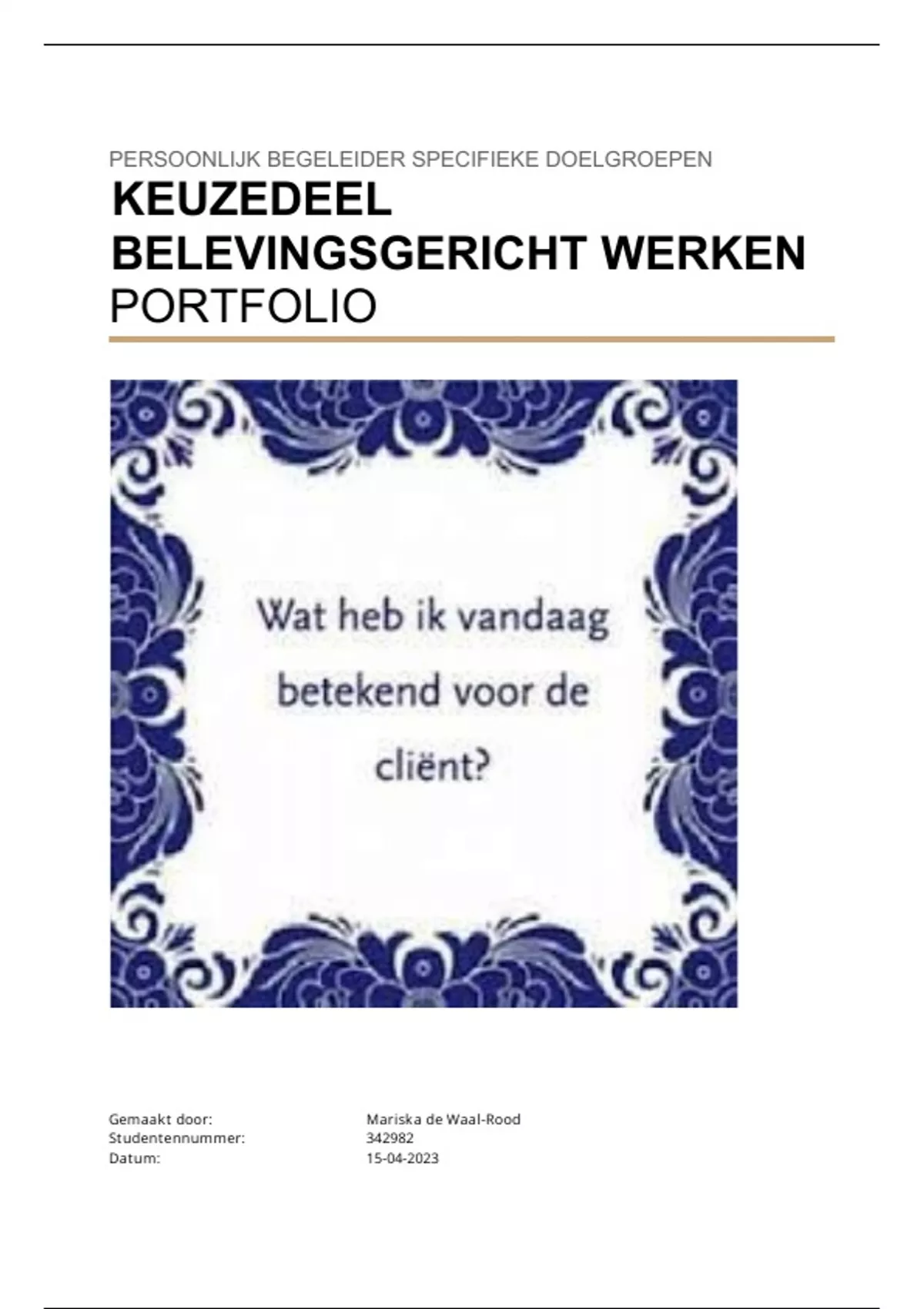 volledig en uitgebreide portfolio van het keuzedeel belevingsgericht ...