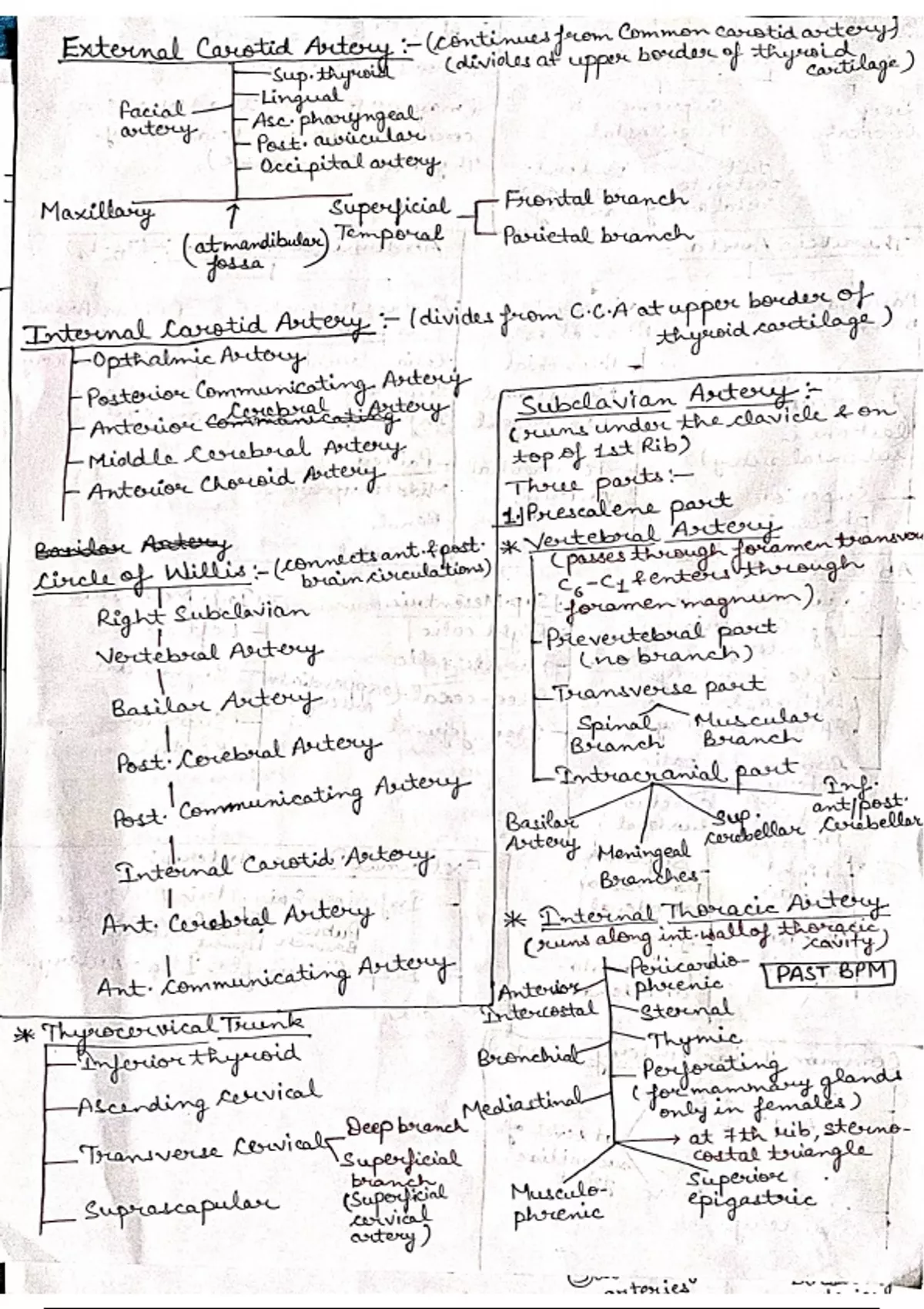 Summary - Anatomy - Anatomy - Stuvia US