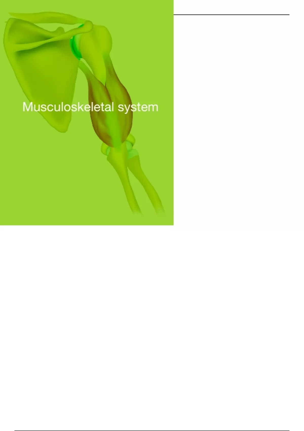 Musculoskeletal system anatomical physiological and clinical ...