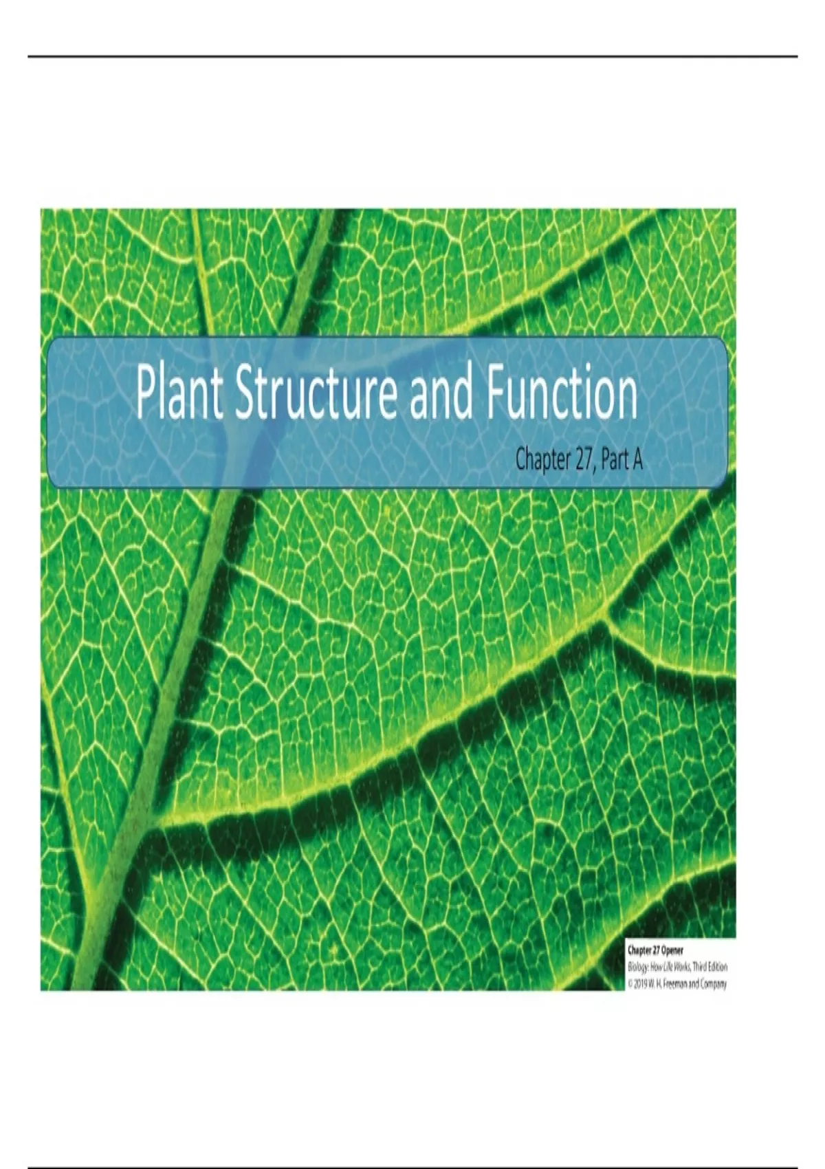Chapter 27 powerpoint/plant structure & function - BI 206: Introductory ...