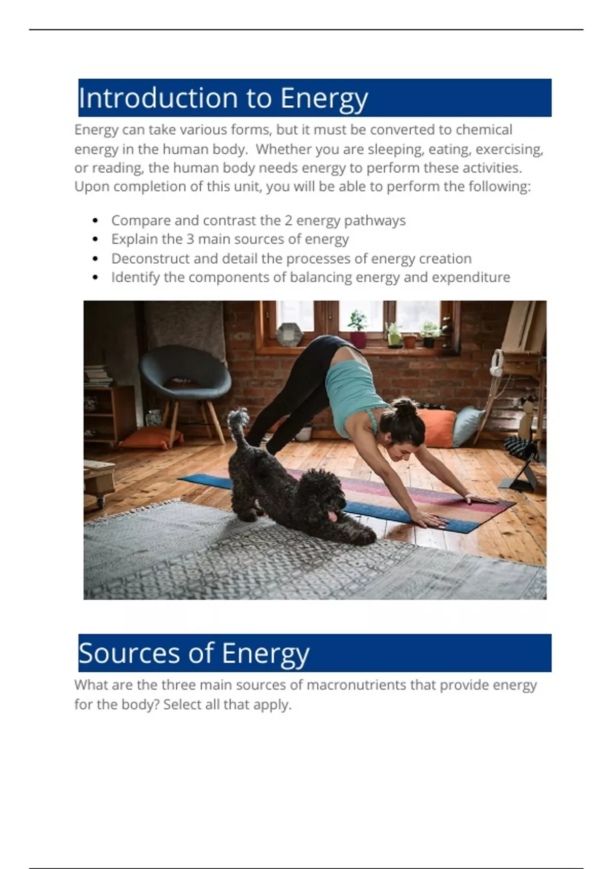 NR 228 Introduction to Energy Complete Guide - Nursing assessment ...