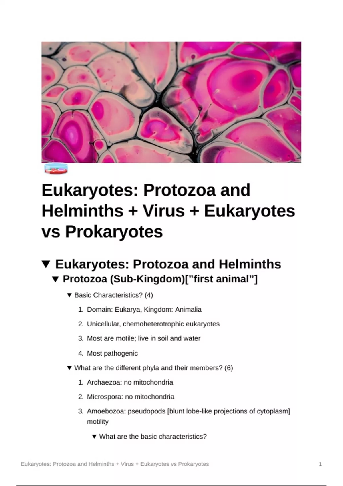 Summary Eukaryotes: Protozoa and Helminths; Virus; Eukaryotes vs ...