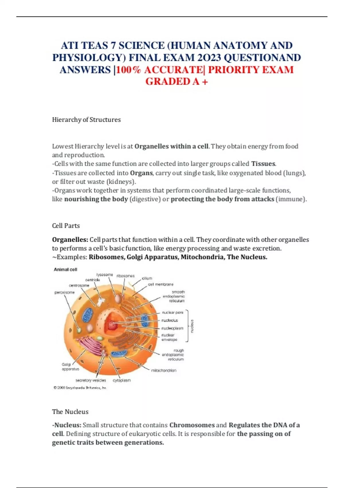 ATI TEAS 7 SCIENCE (HUMAN ANATOMY AND PHYSIOLOGY) FINAL EXAM 2O23 ...
