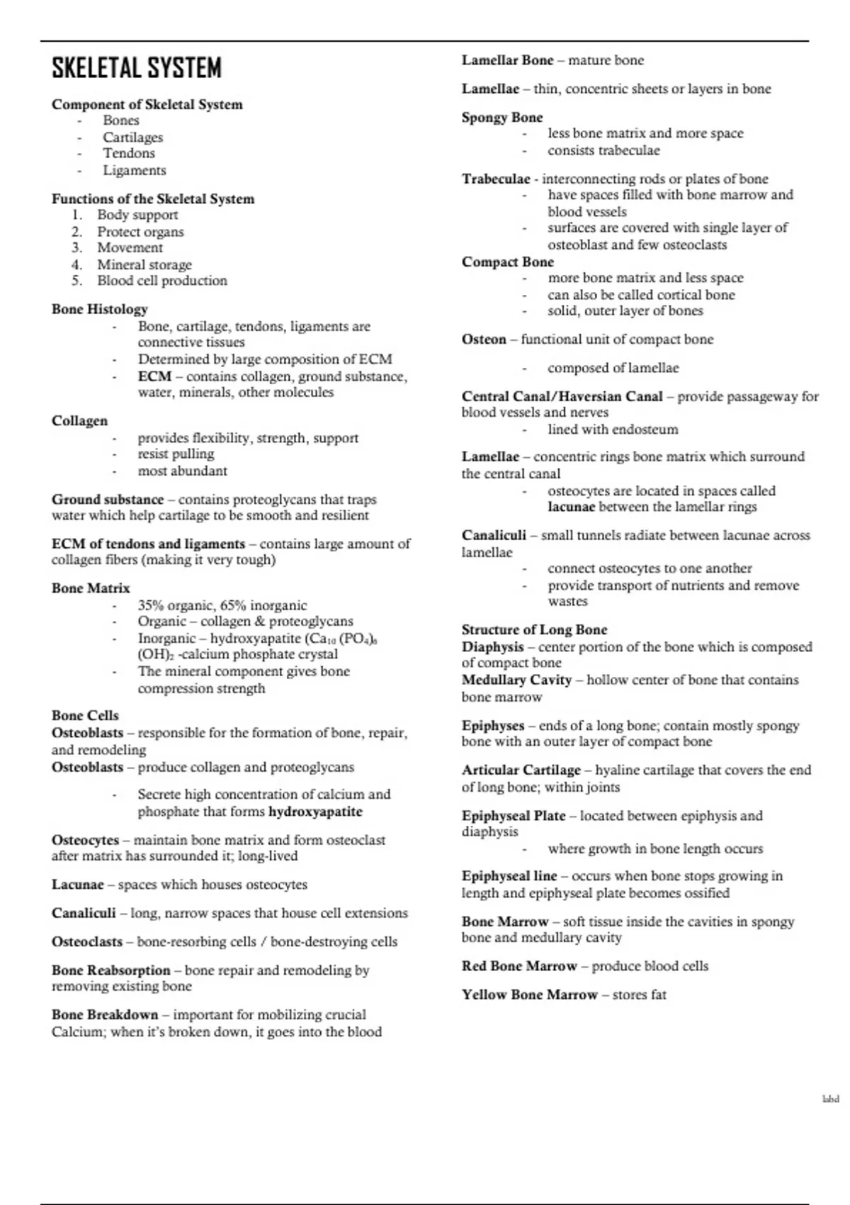 Summary Reviewer in Skeletal System - NUR1101 - Stuvia US