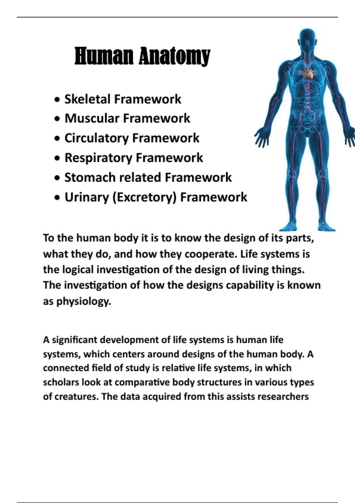 Summary Unlocking the Body's Blueprint: A Journey Through Human Anatomy ...