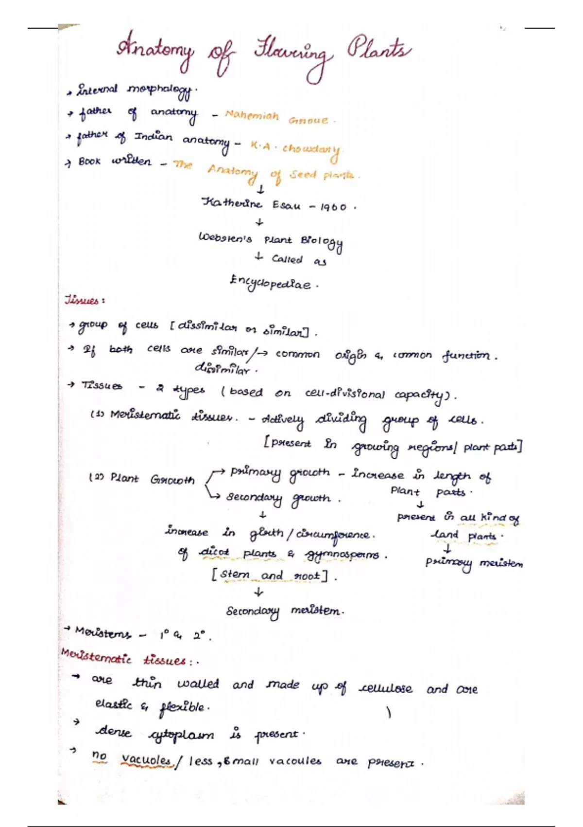Anatomy of flowering plants - in detail with diagrams - Science - Stuvia US