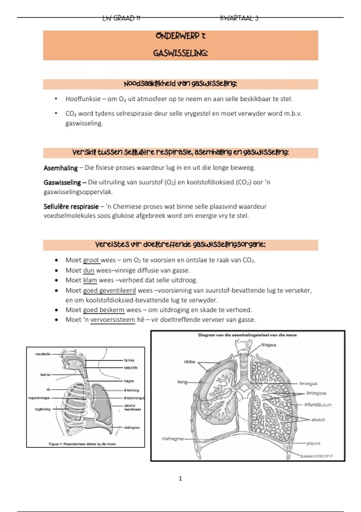 Summary Lewenswetenskappe Graad 11 Kwartaal 3 en 4 Opsommings (2023 ...