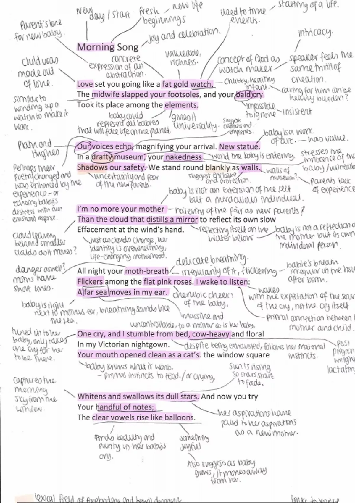 Summary Morning Song By Sylvia Plath Poem Annotation And Analysis
