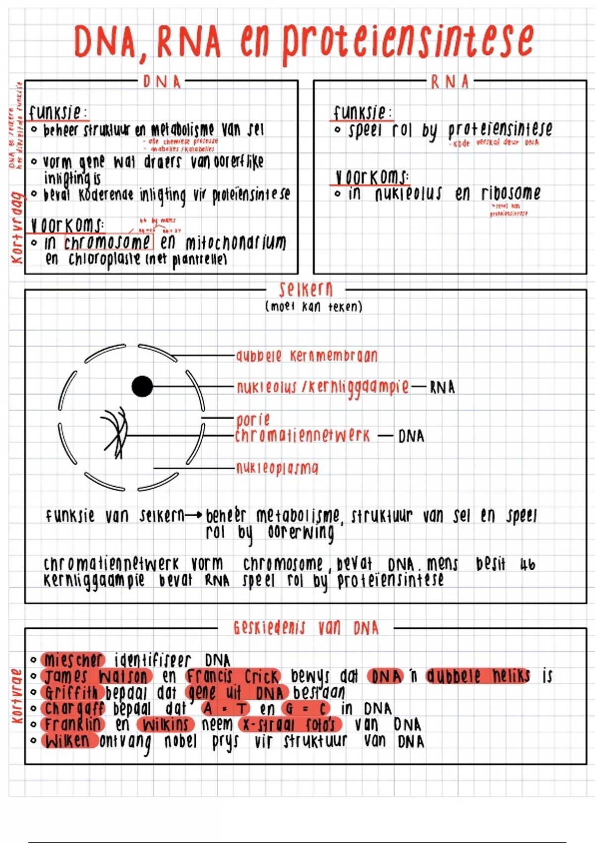 Summary Die kode van lewe: DNA, RNA en proteïensintese - Graad 12 ...