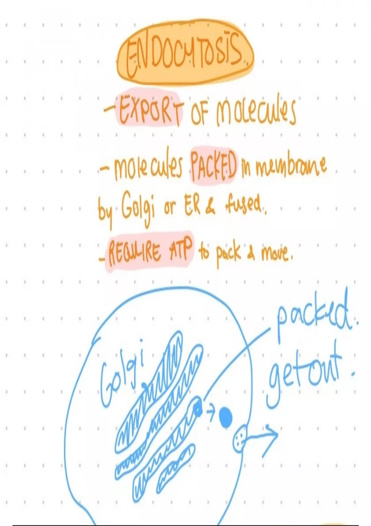 Mind map summary on transports - cell membrane - cell and microorganism ...