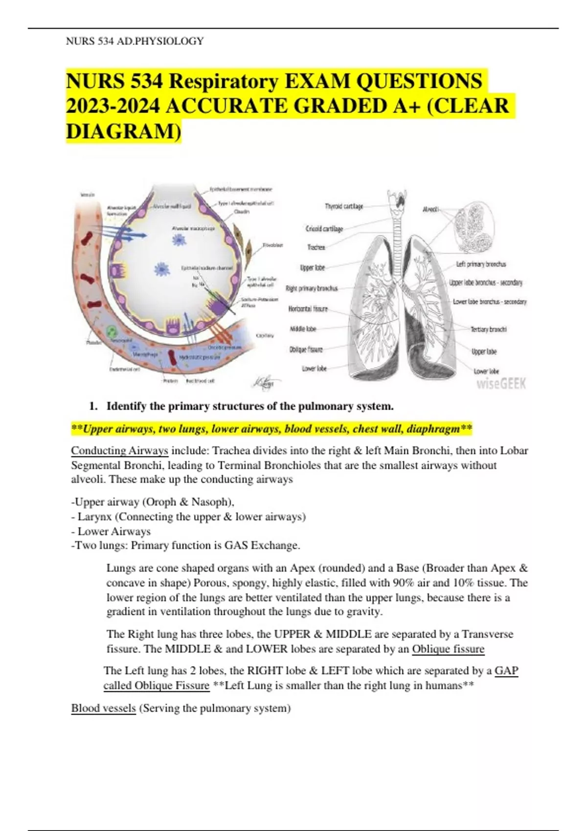 NURS 534 Respiratory EXAM QUESTIONS ACCURATE GRADED A+ (CLEAR DIAGRAM ...