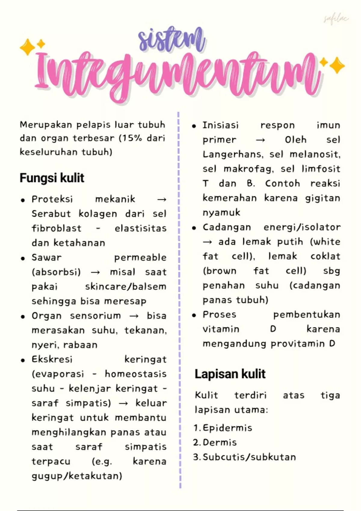 Anatomy Summary: Integument System - KUG.1107 - Stuvia US