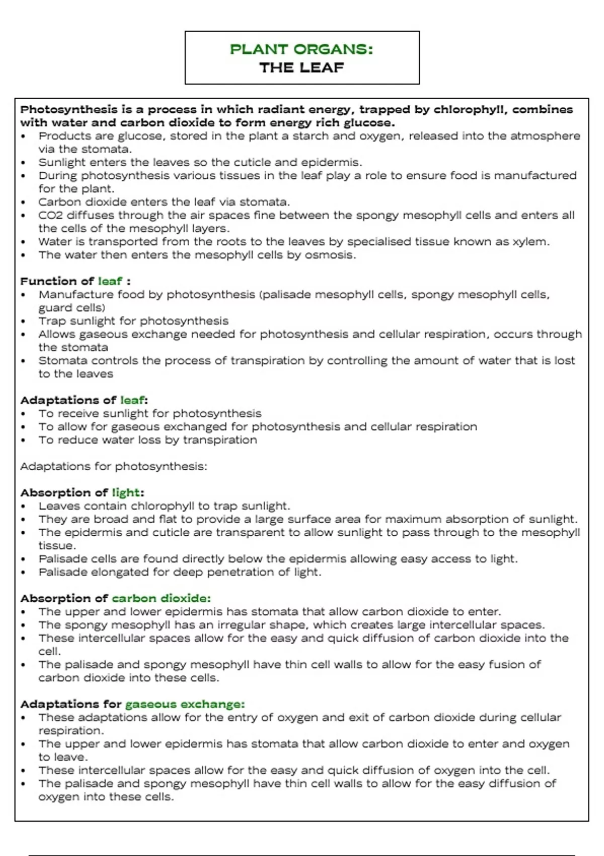 Summary Biology notes on Plant organs and transportation in plants ...