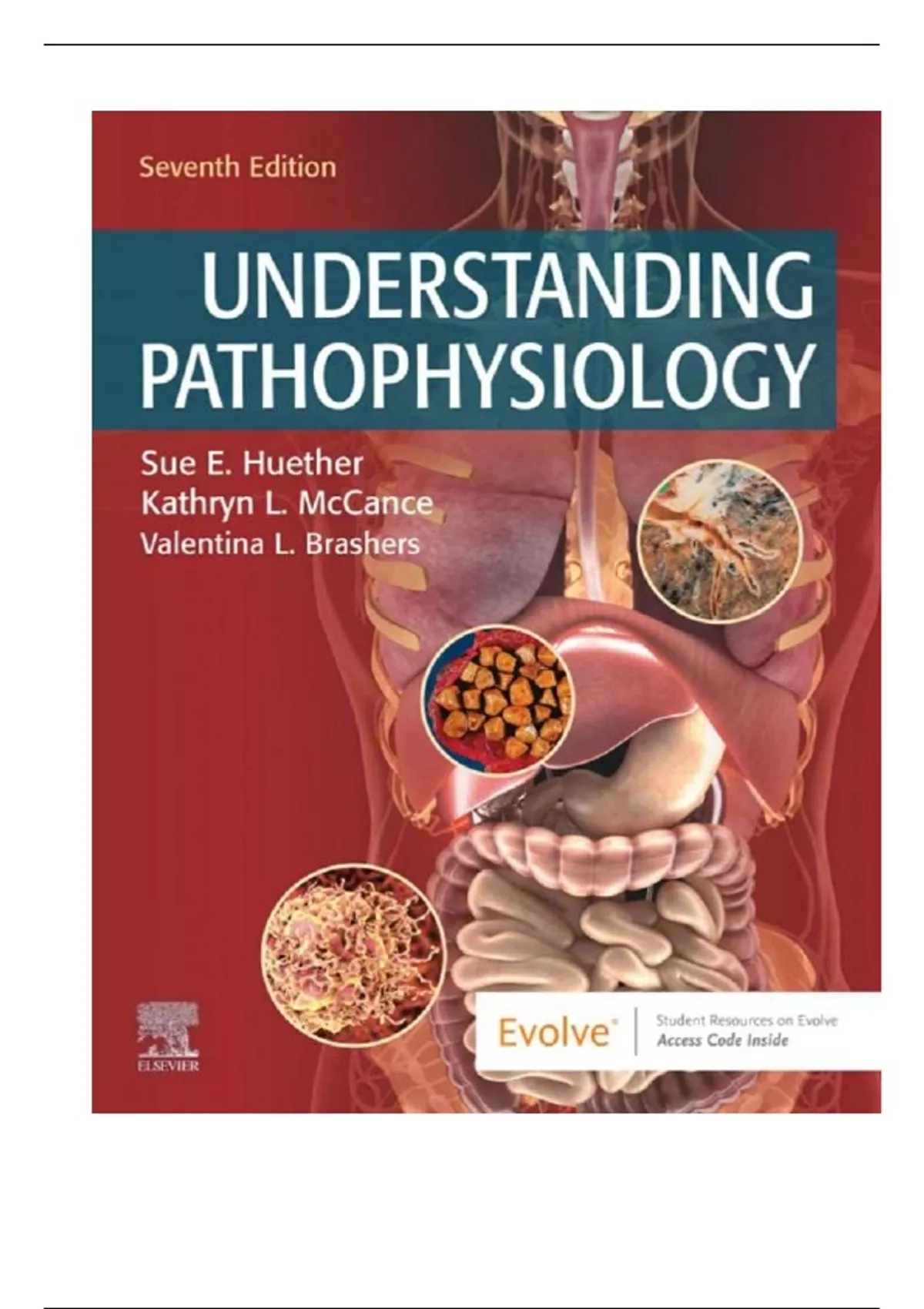 Understanding Pathophysiology 7th edition by Huether, McCance Test Bank ...