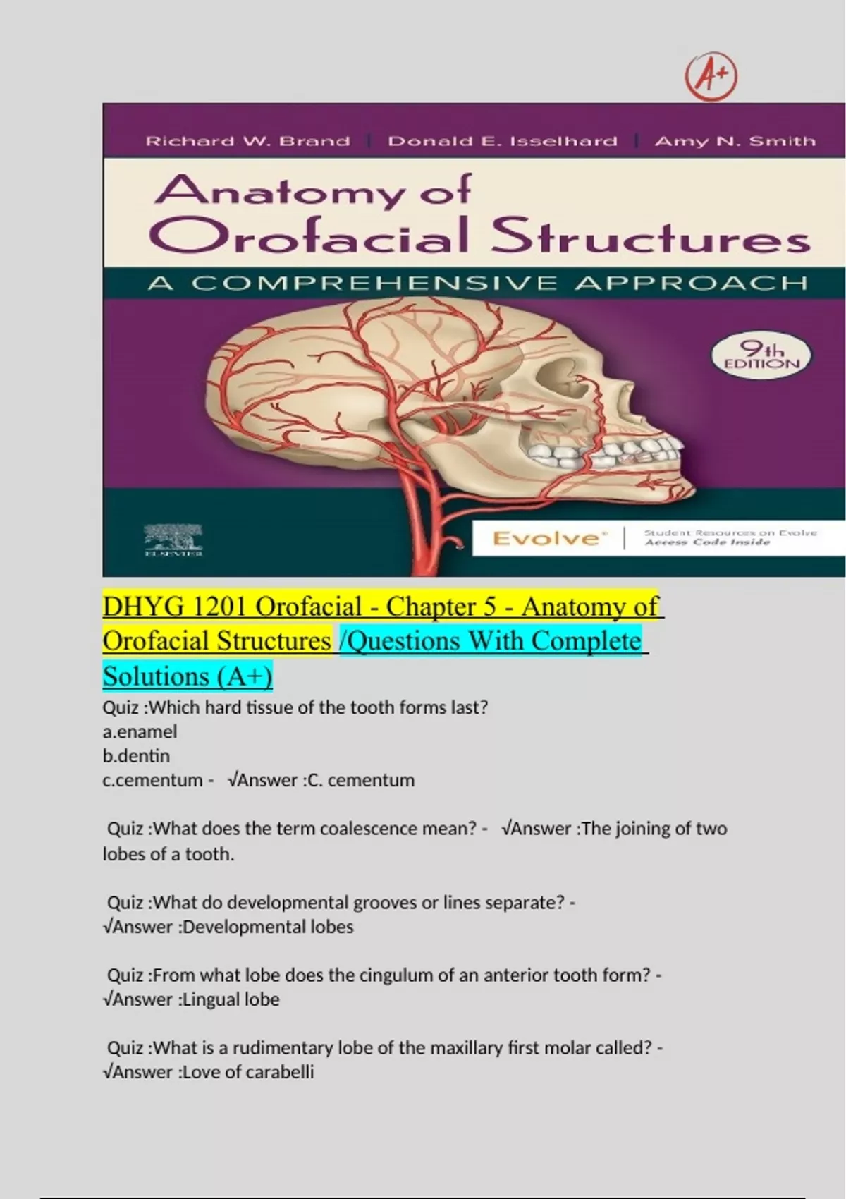DHYG 1201 Orofacial - Chapter 5 - Anatomy of Orofacial Structures ...