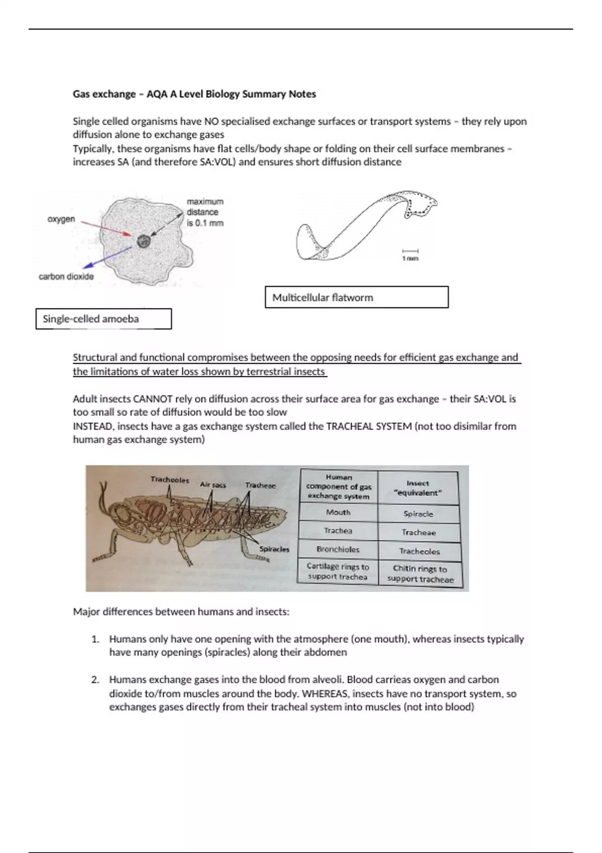 Summary Notes on Gas Exchange - AQA A Level Biology - Unit 3 ...