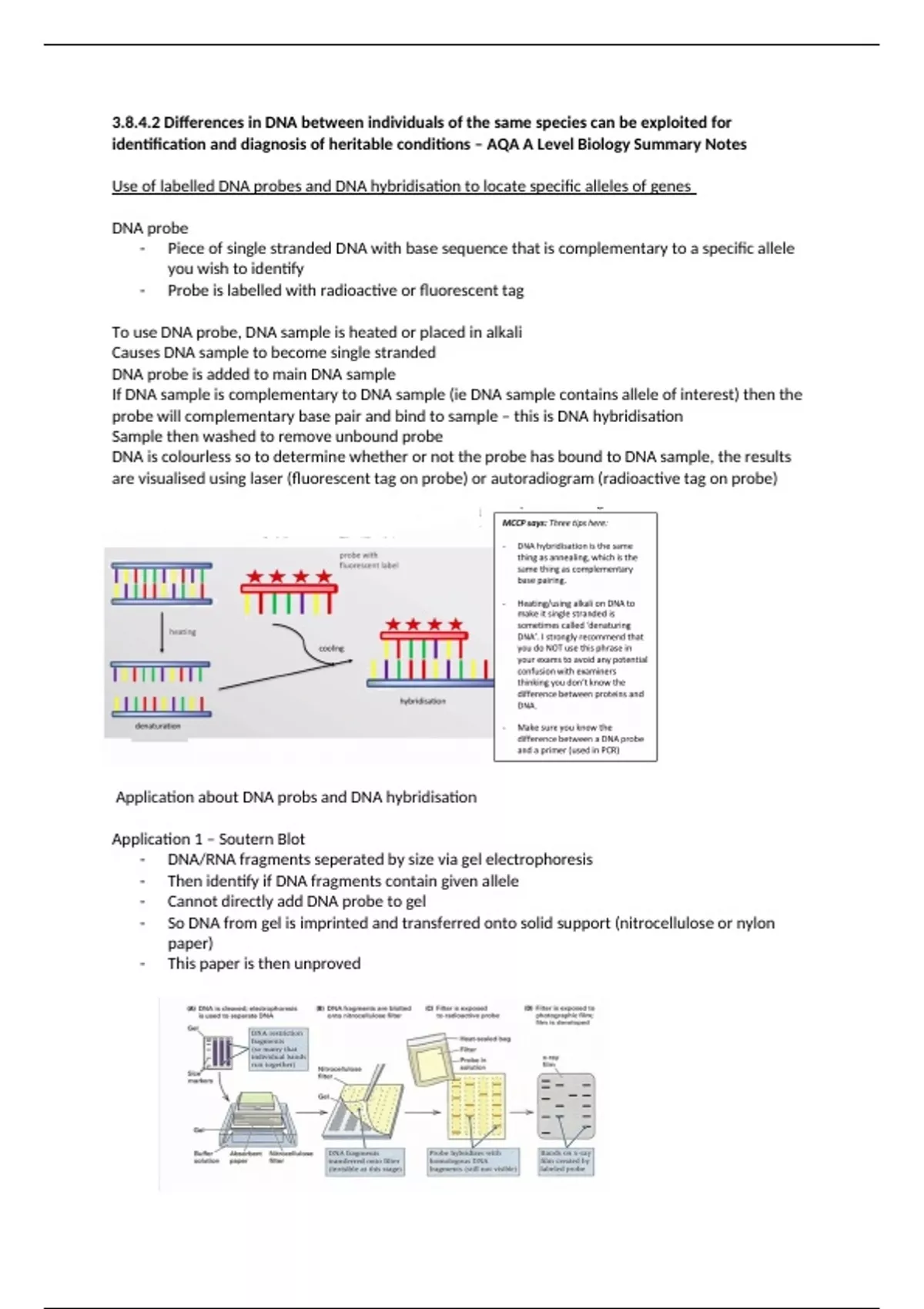Summary notes on Differences in DNA between individuals of the same ...