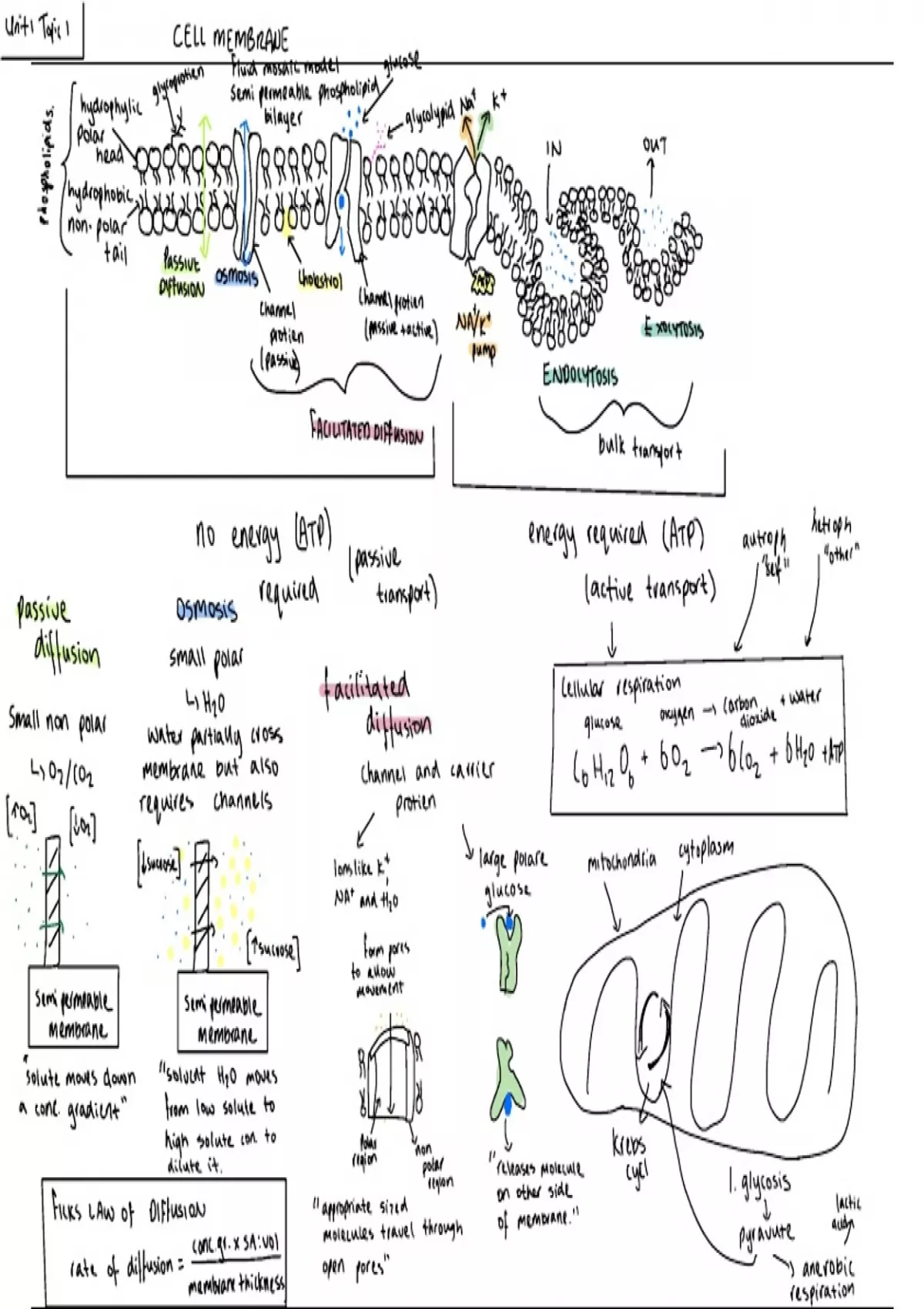 Summary Unit 1, topic 1 concept map for Biology - Biology - Stuvia US