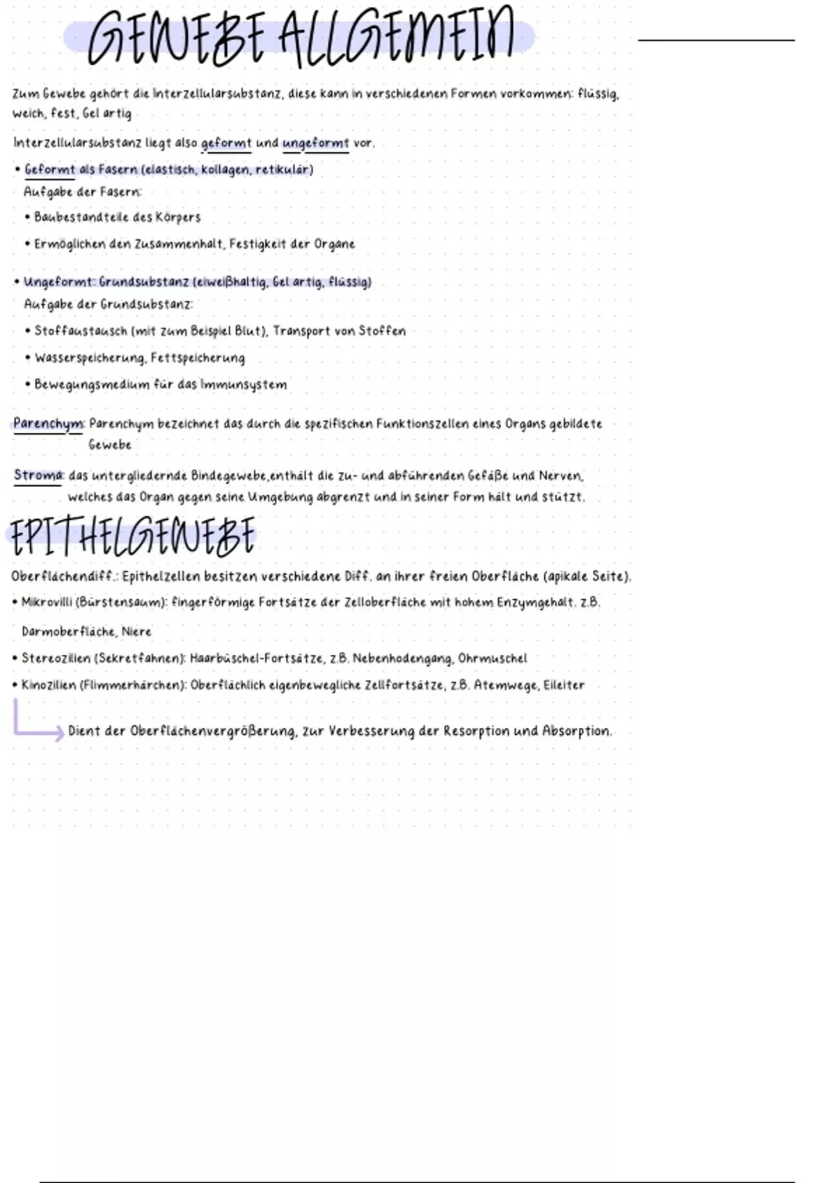 Zusammenfassung Grundgewebsarten; Epithel-,Binde-,Knorpel-,Knochen ...