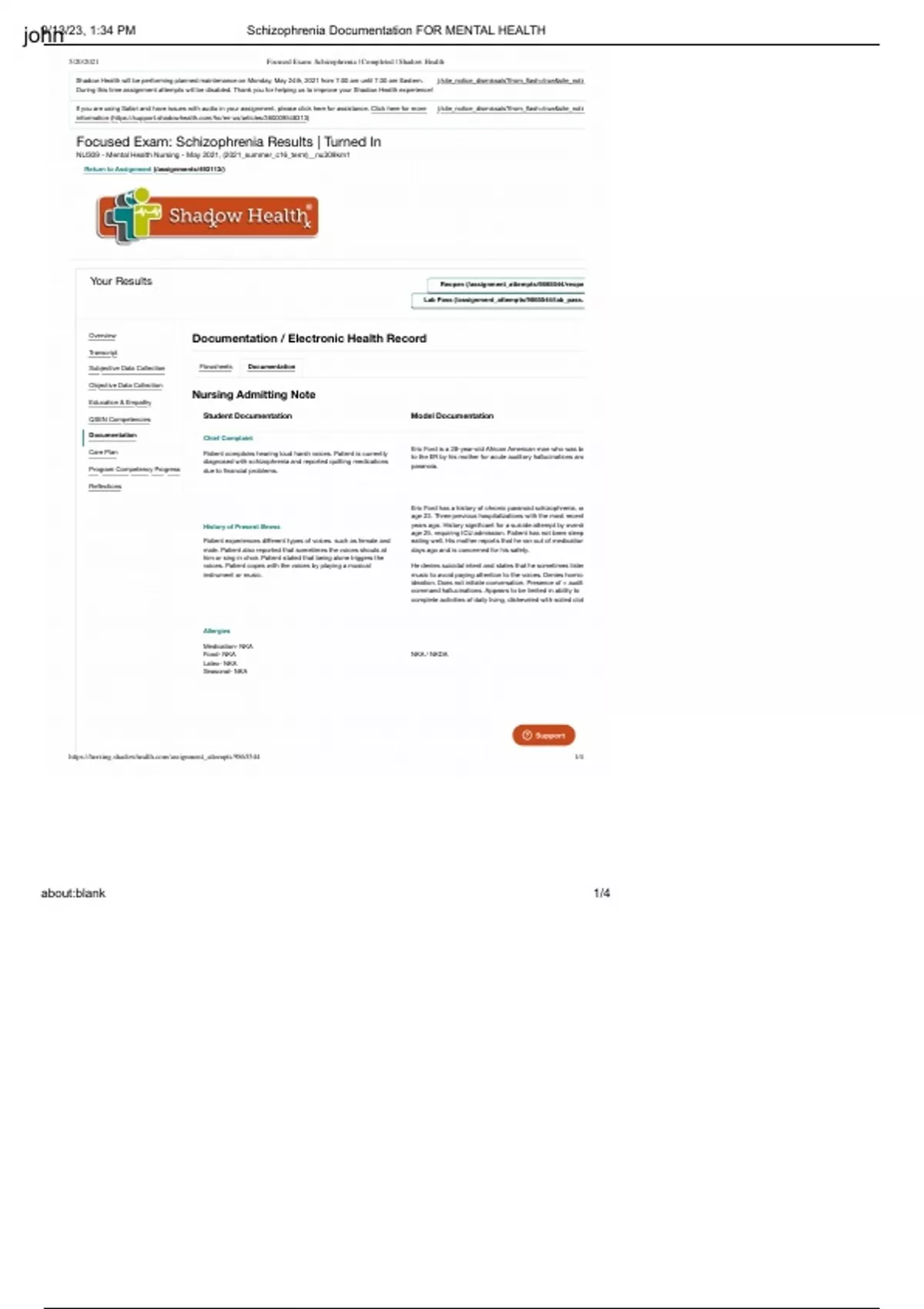 Schizophrenia Documentation FOR MENTAL HEALTH - Mental Health Nursing ...