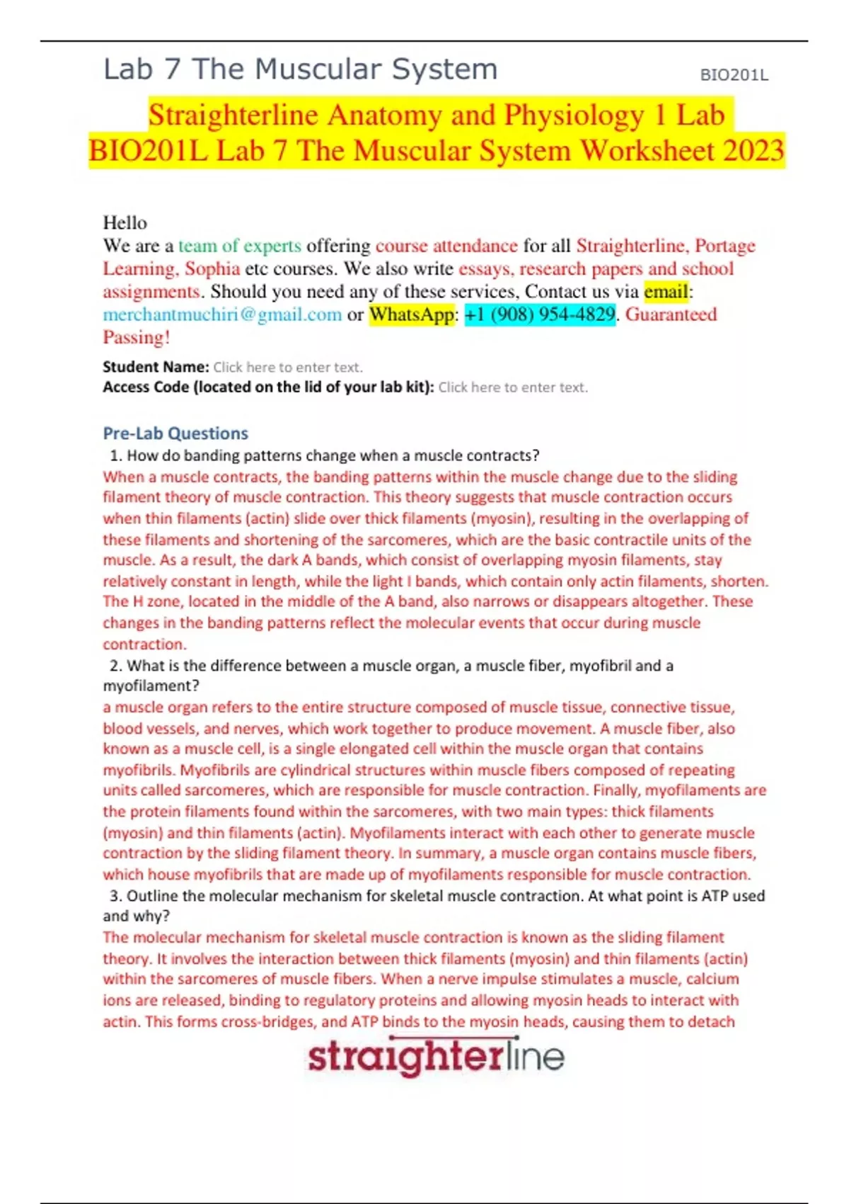 Straighterline Anatomy and Physiology 1 Lab BIO201L Lab 7 The Muscular System Worksheet 2023 ...