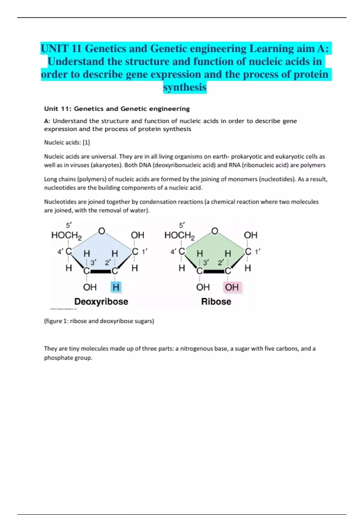 UNIT 11 Genetics and Genetic engineering Learning aim A: Understand the ...