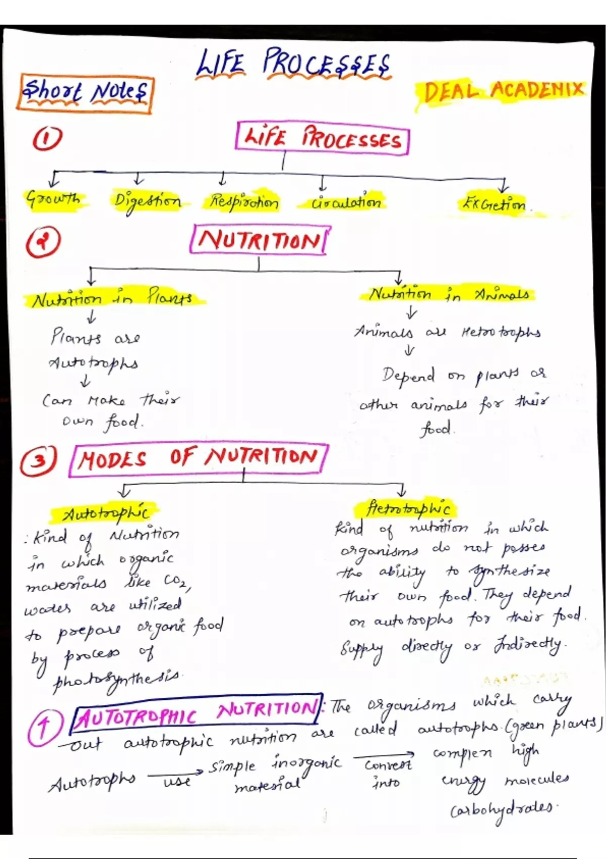 Life Process Class 10 Biology Best Handwritten Notes - Science - Stuvia US