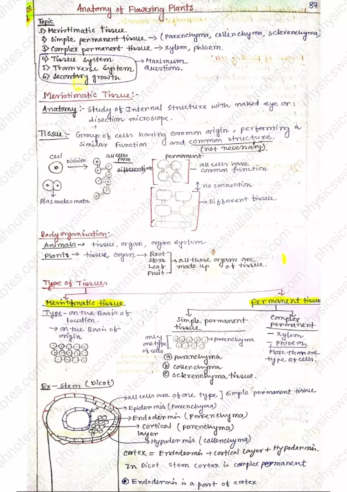 Summary ANATOMY OF FLOWERING PLANTS NEET - TOPPER NOTES NCERT BASED ...