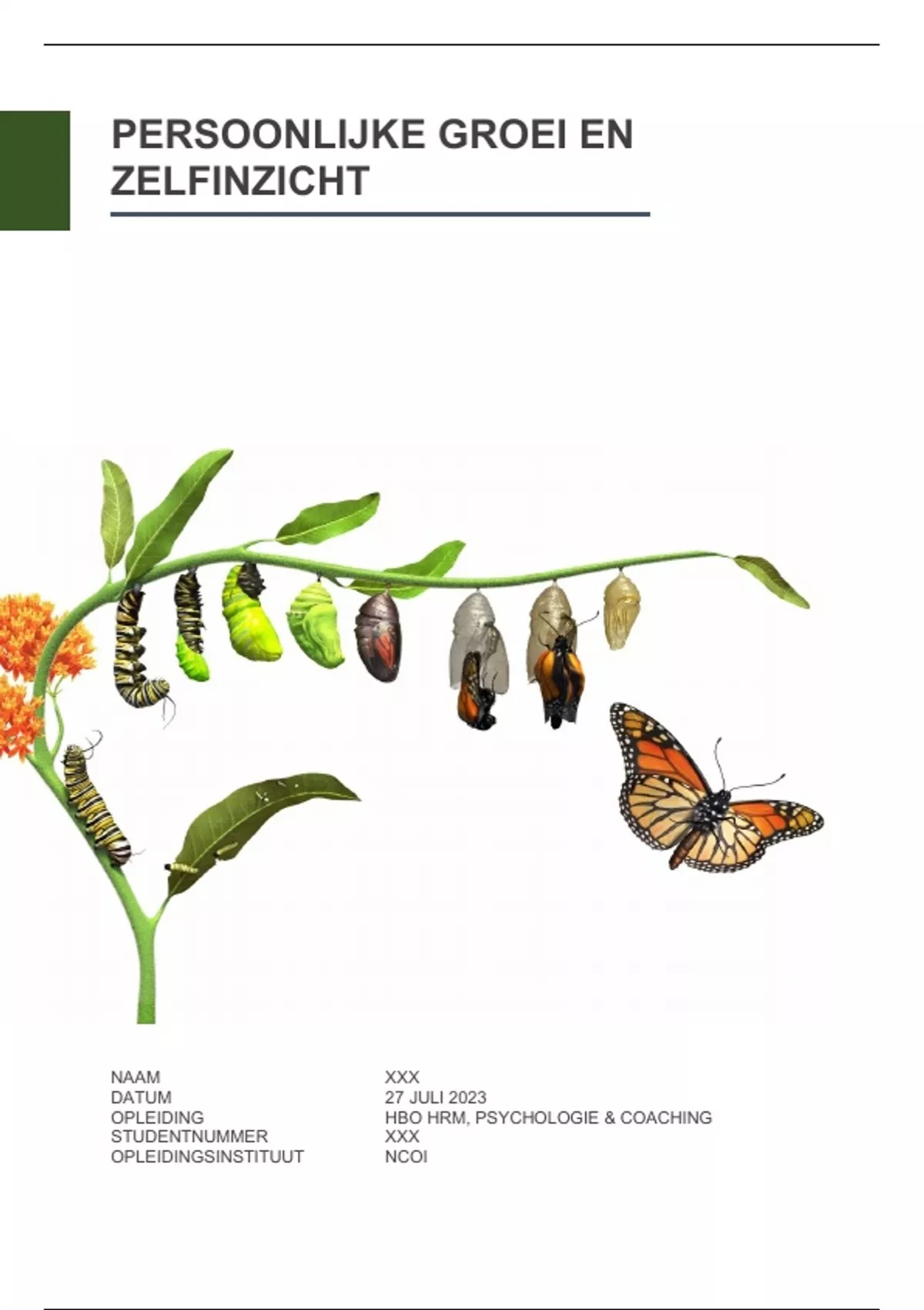 Moduleopdracht Persoonlijke Groei en Zelfinzicht NCOI - Cijfer 8! Met ...
