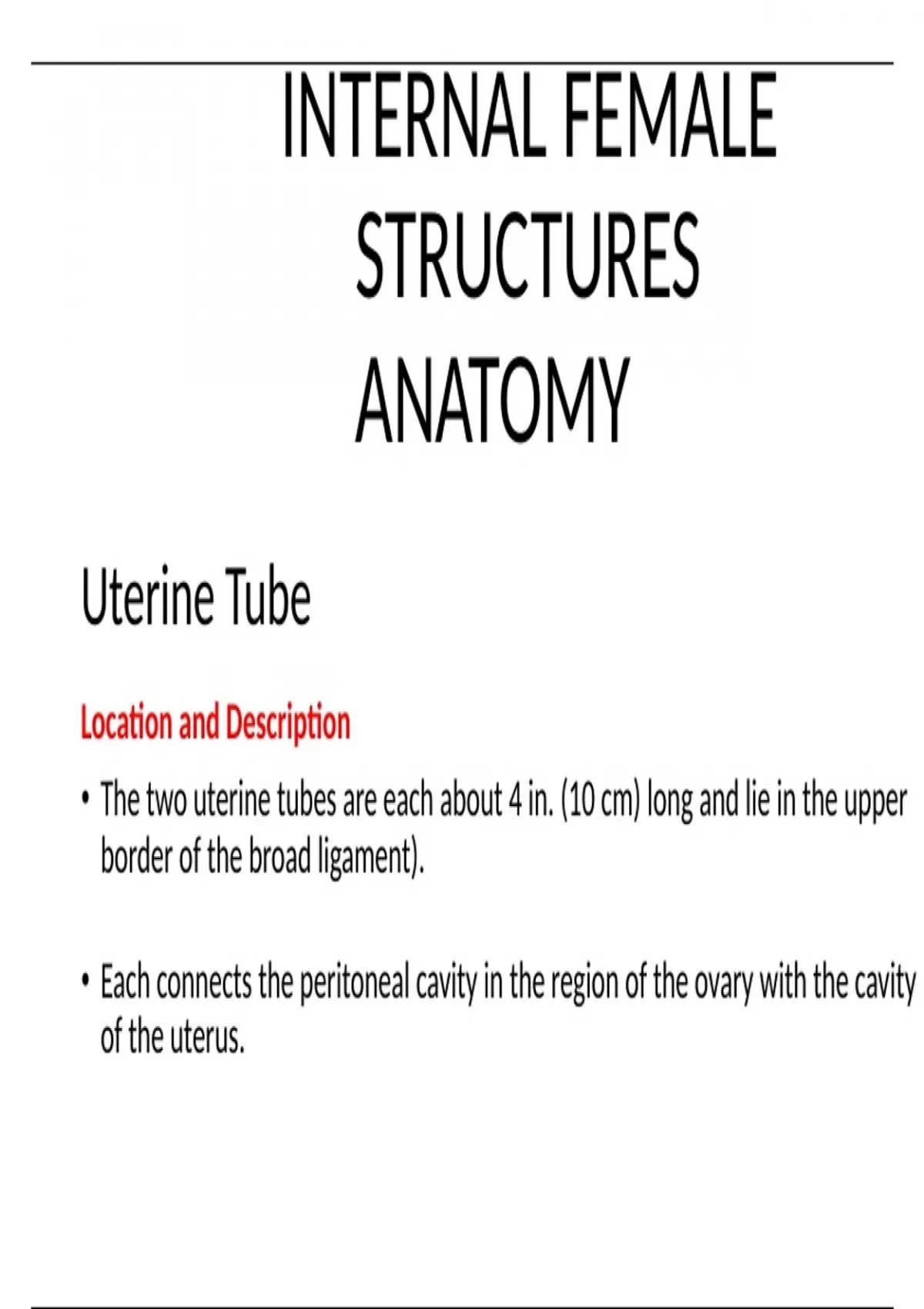 Summary FEMALE REPRODUCTIVE SYSTEM ANATOMY - Human anatomy and ...