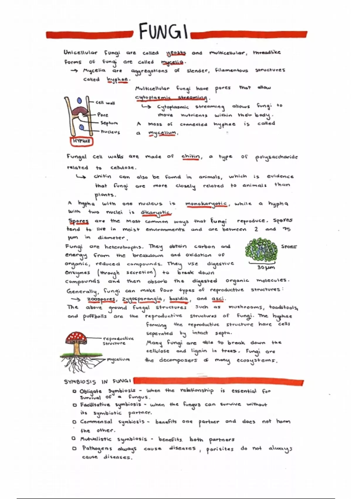 LIFE 103 - Basic Summary on Fungi - Life 103 (103) - Stuvia US