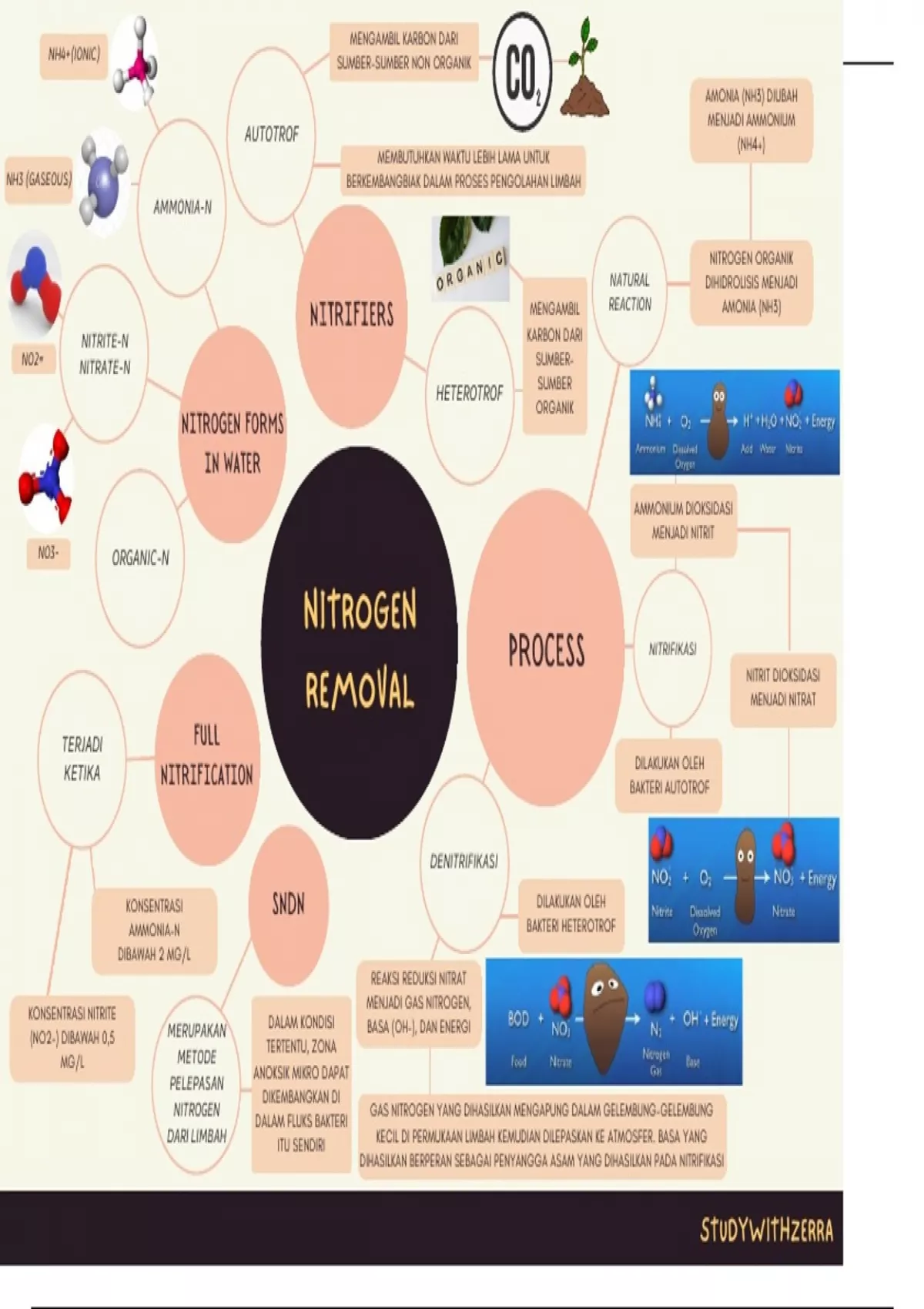 Summary Mind Map Nitrogen Removal - Penanganan Limbah Pangan - Stuvia US