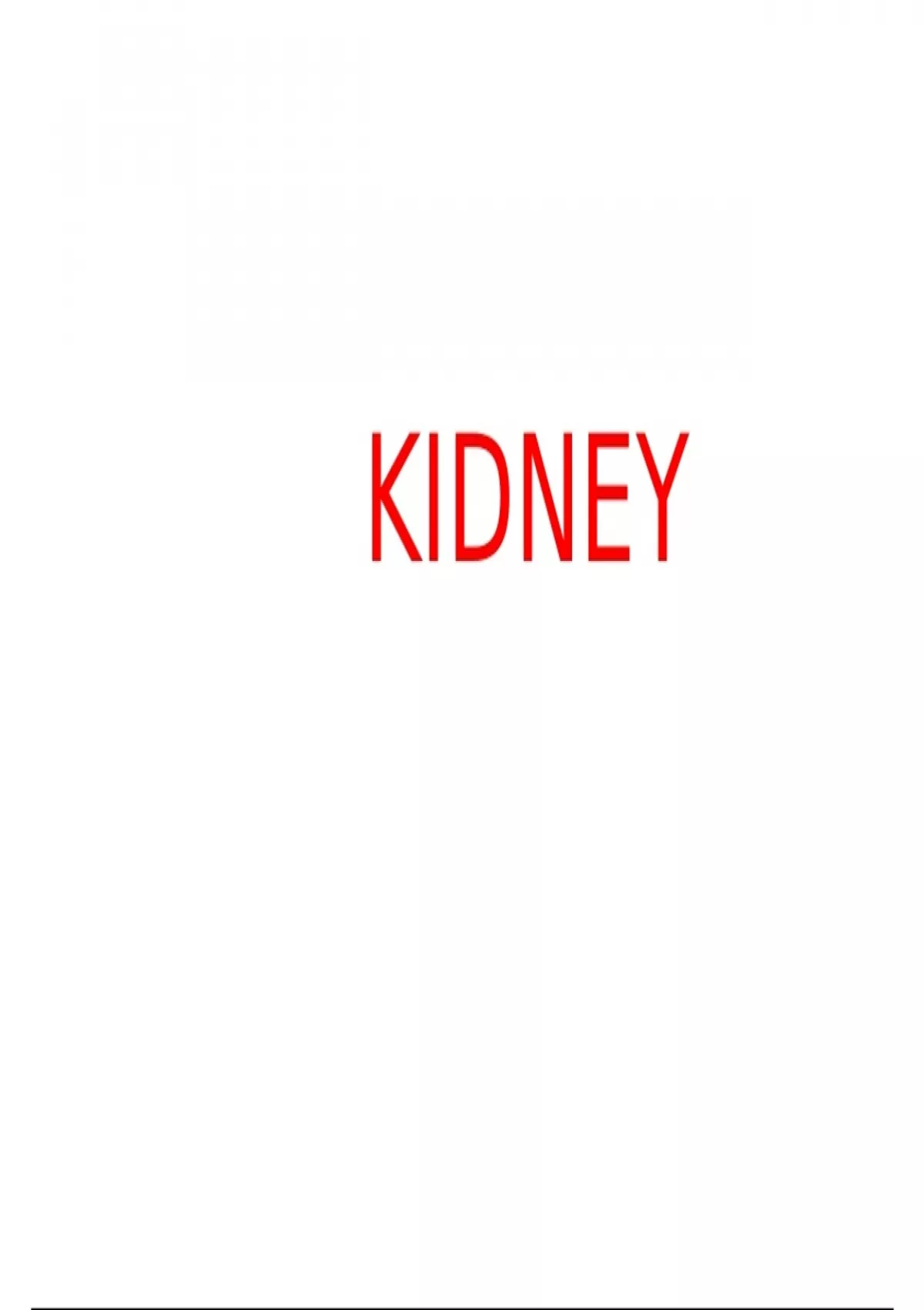 Summary of Structure and function of kidney - Physiology of kidney ...