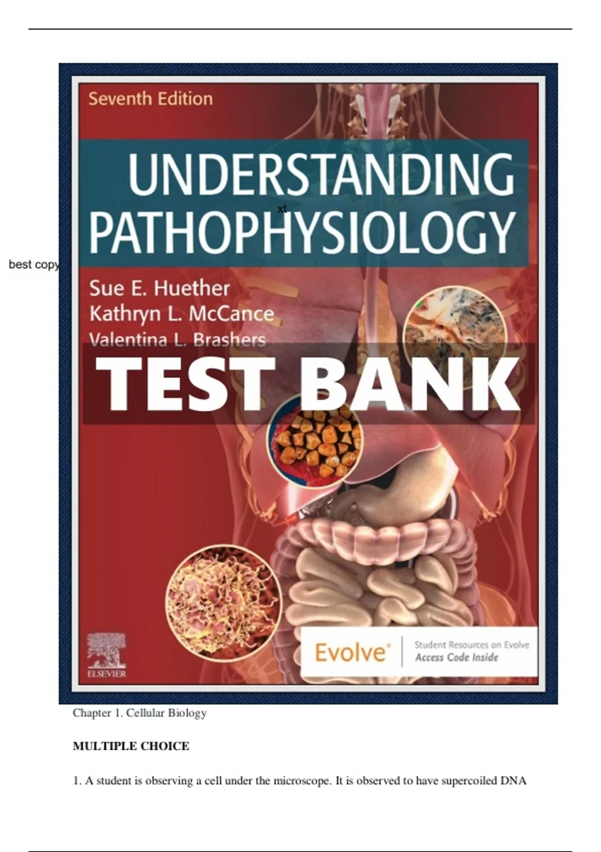 Test Bank For Understanding Pathophysiology 7th Edition ...