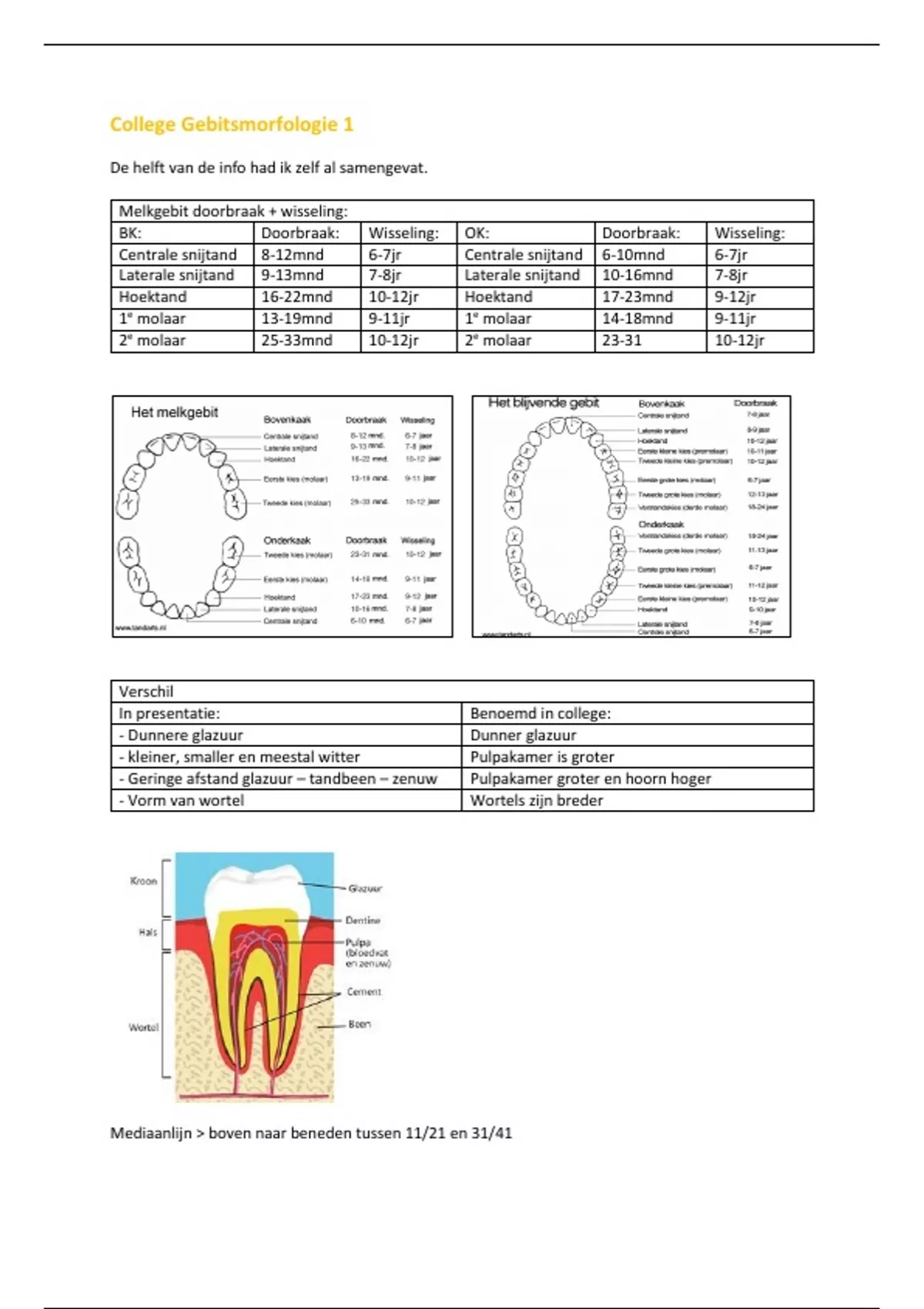 Anatomie: Gedetailleerde samenvattingen + met overzichtelijke ...