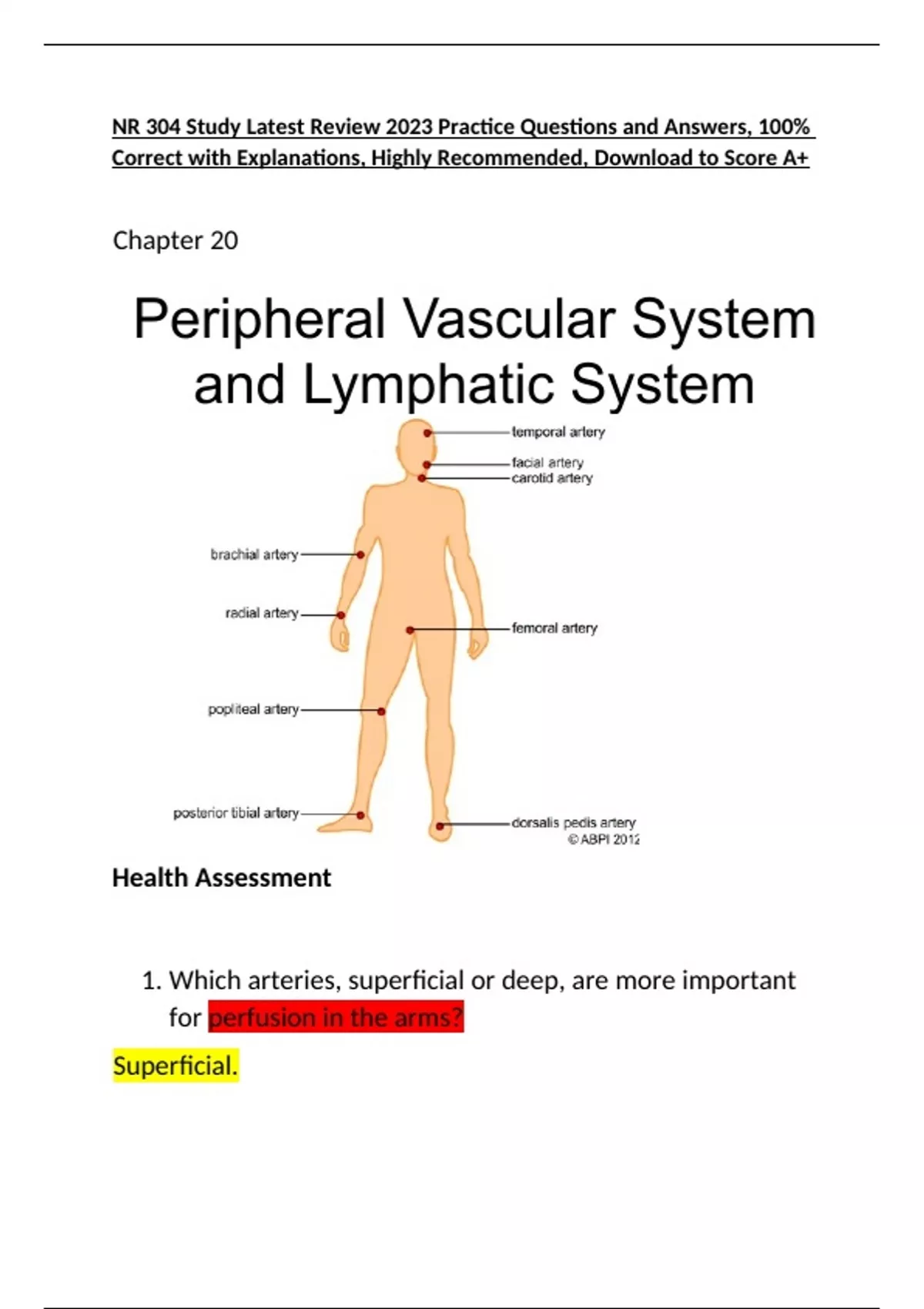 NR 304 Study Peripheral Vascular System and Lymphatic System Latest ...