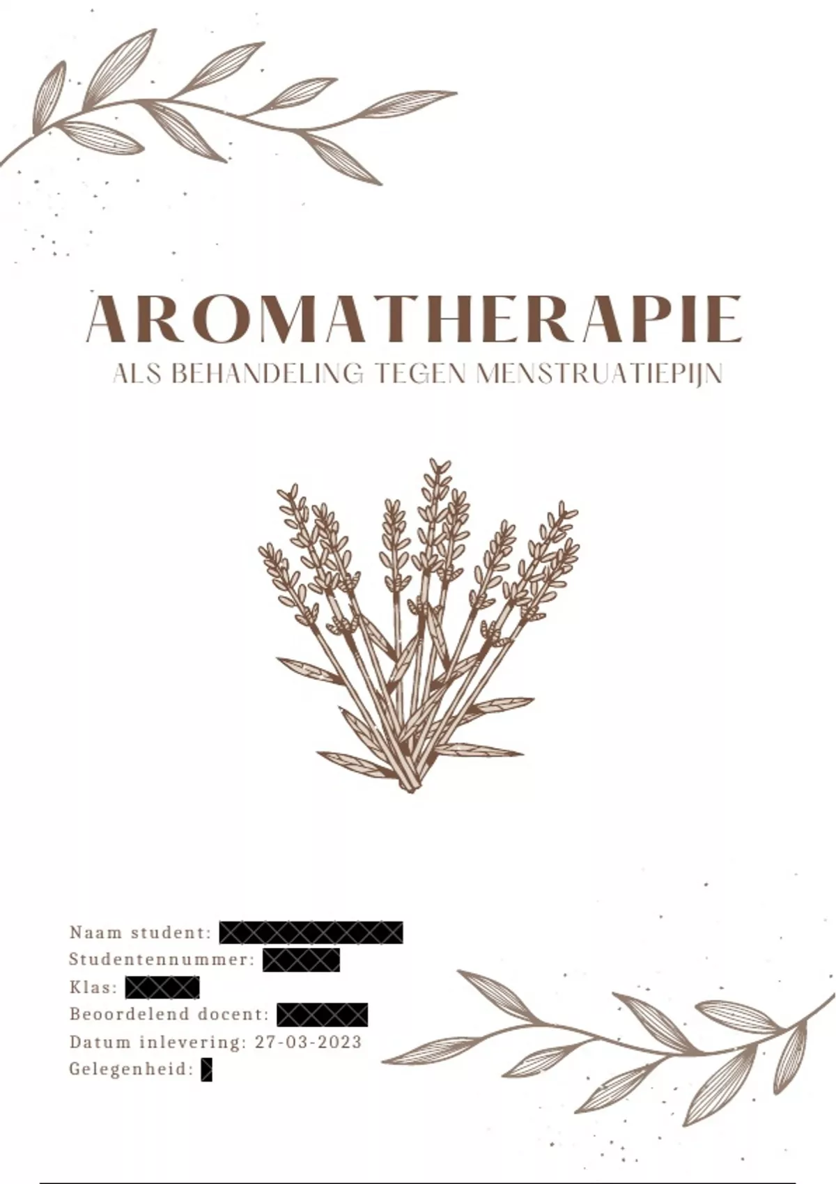 Volledig uitgewerkt CAT-verslag voor het vak EBP (1e jaar HBO-V ...