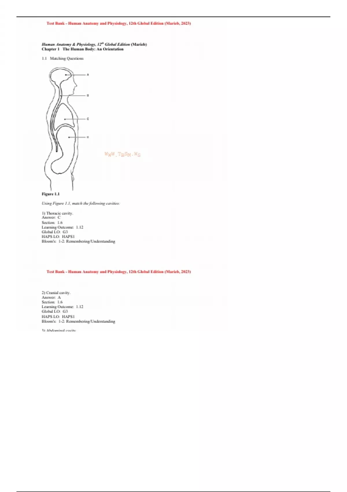Test Bank - Human Anatomy and Physiology, 12th Global Edition (Marieb ...