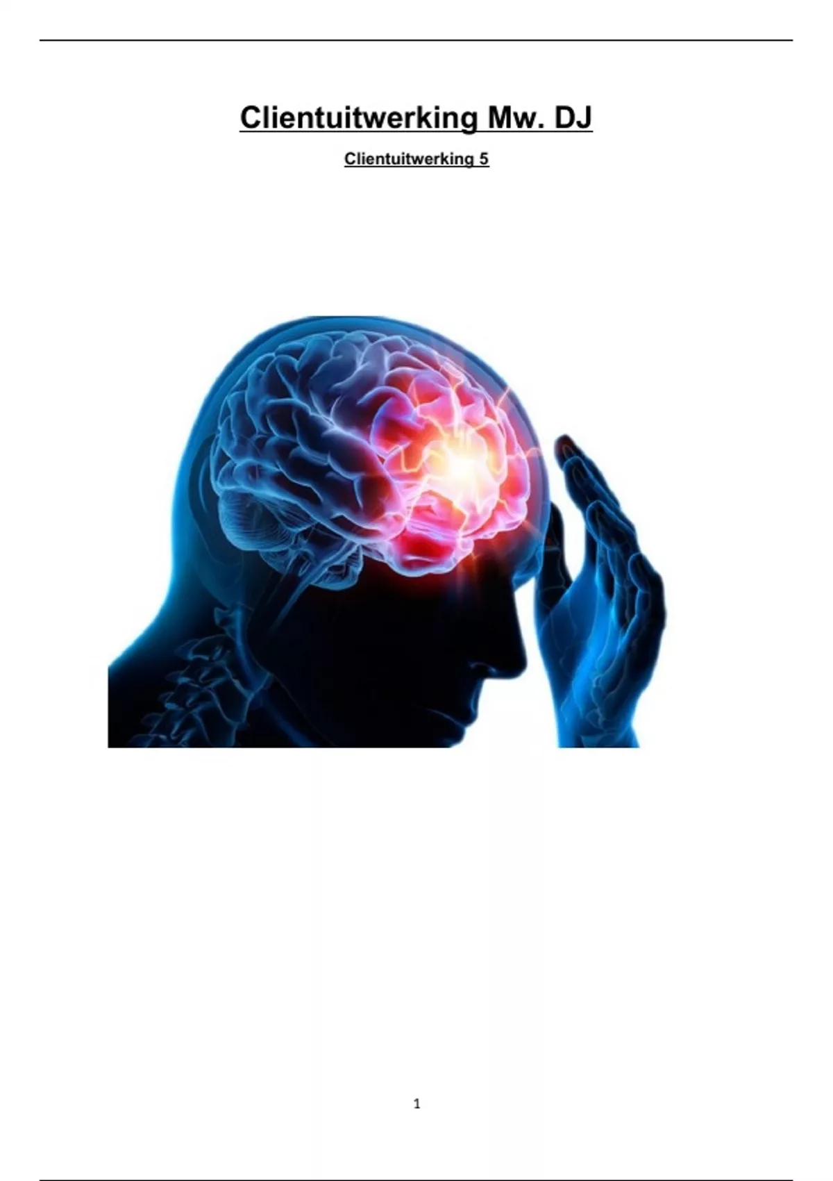 Clientuitwerking 2 - Clientuitwerking - Stuvia NL