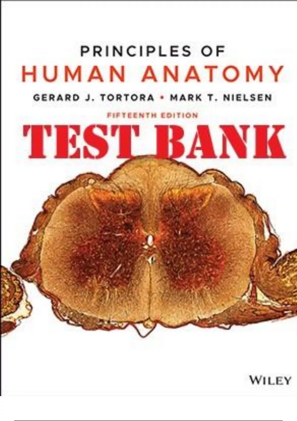 TEST BANK for Principles of Human Anatomy, 15th Edition by Gerard J ...
