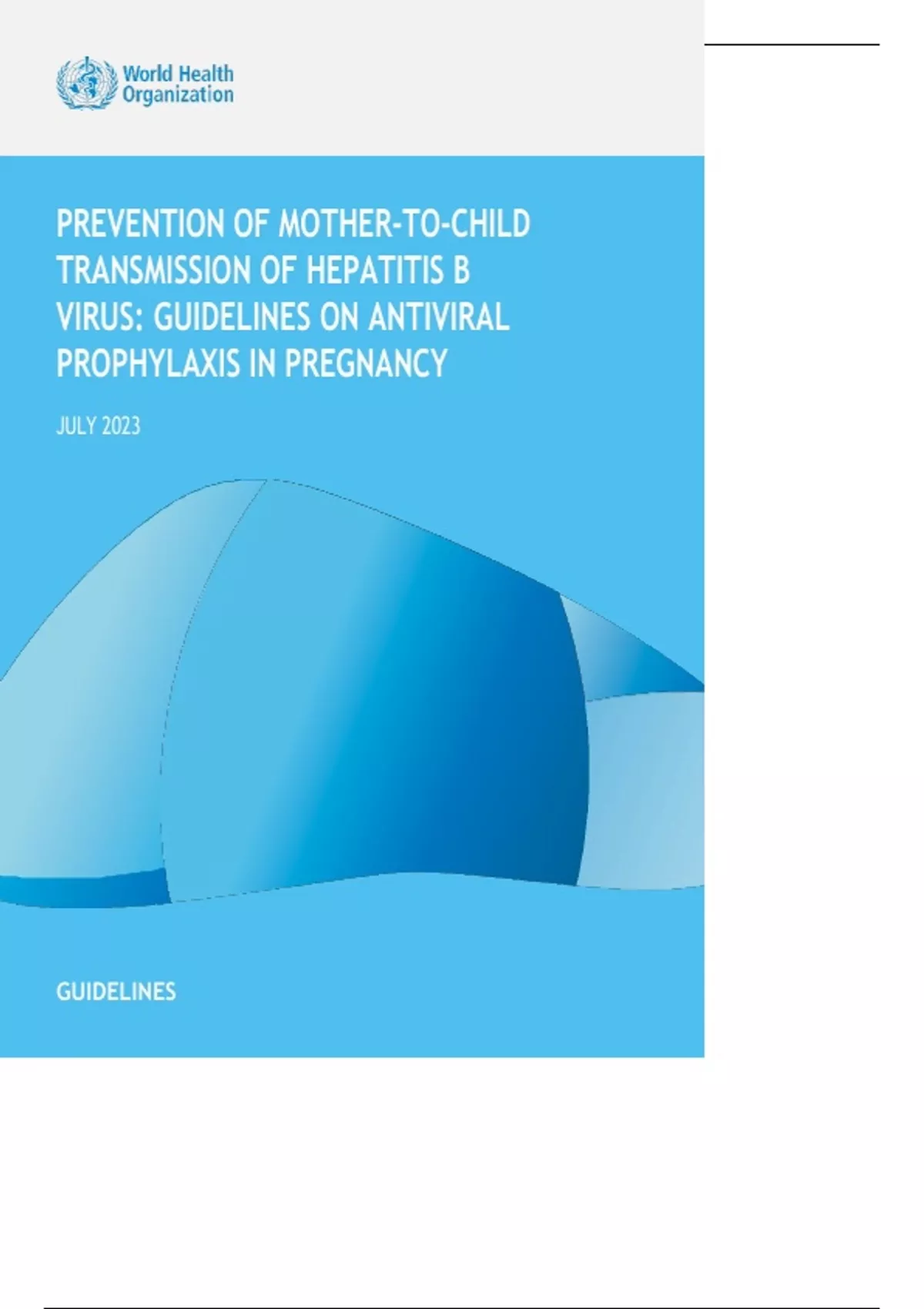 Summary PREVENTION OF MOTHER-TO-CHILD TRANSMISSION OF HEPATITIS B VIRUS ...