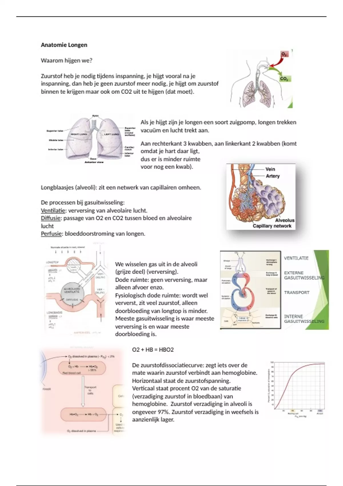 Samenvatting Anatomie longen - Anatomie - Stuvia NL