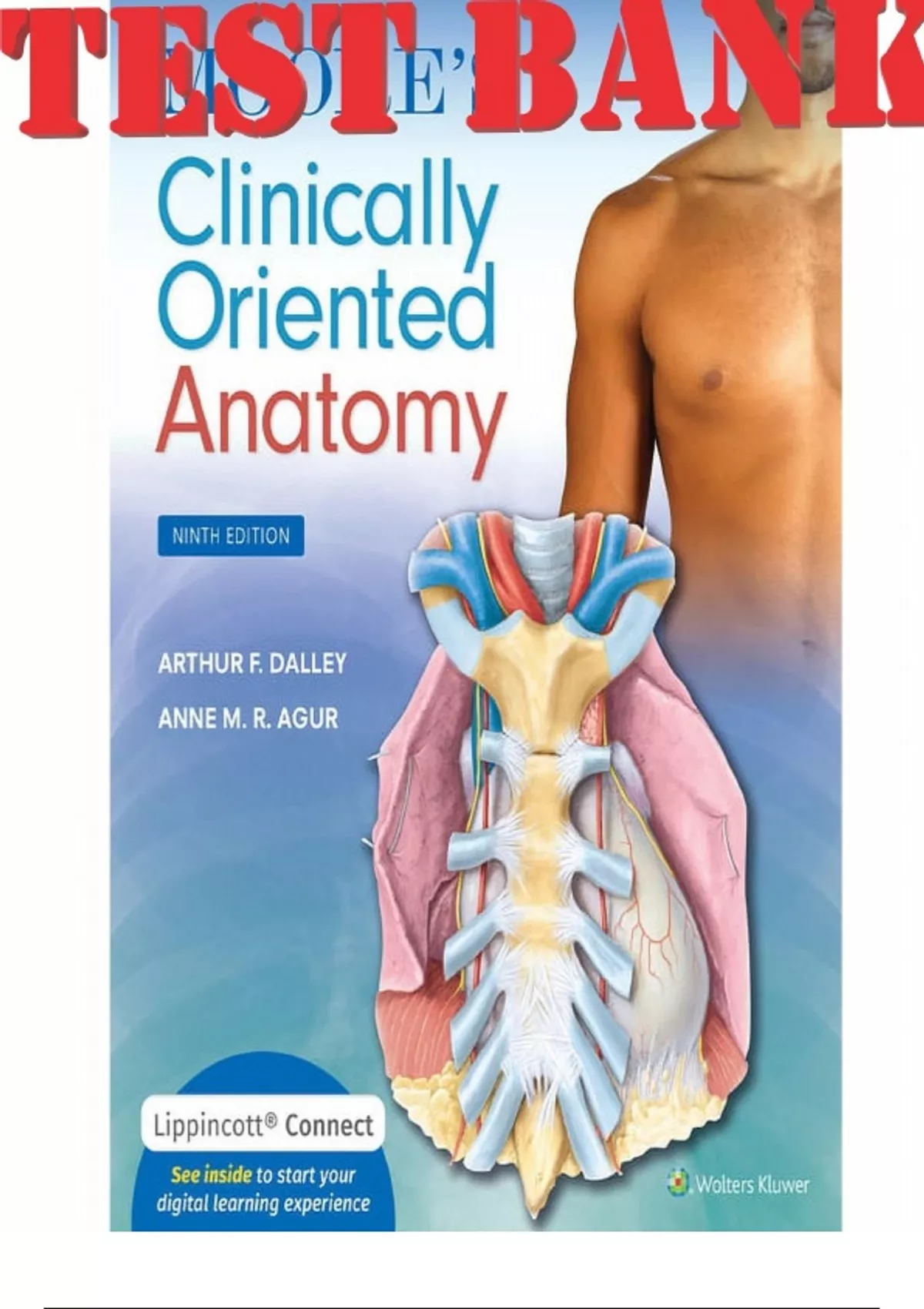TEST BANK for Moore's Clinically Oriented Anatomy 9th Edition by Arthur ...