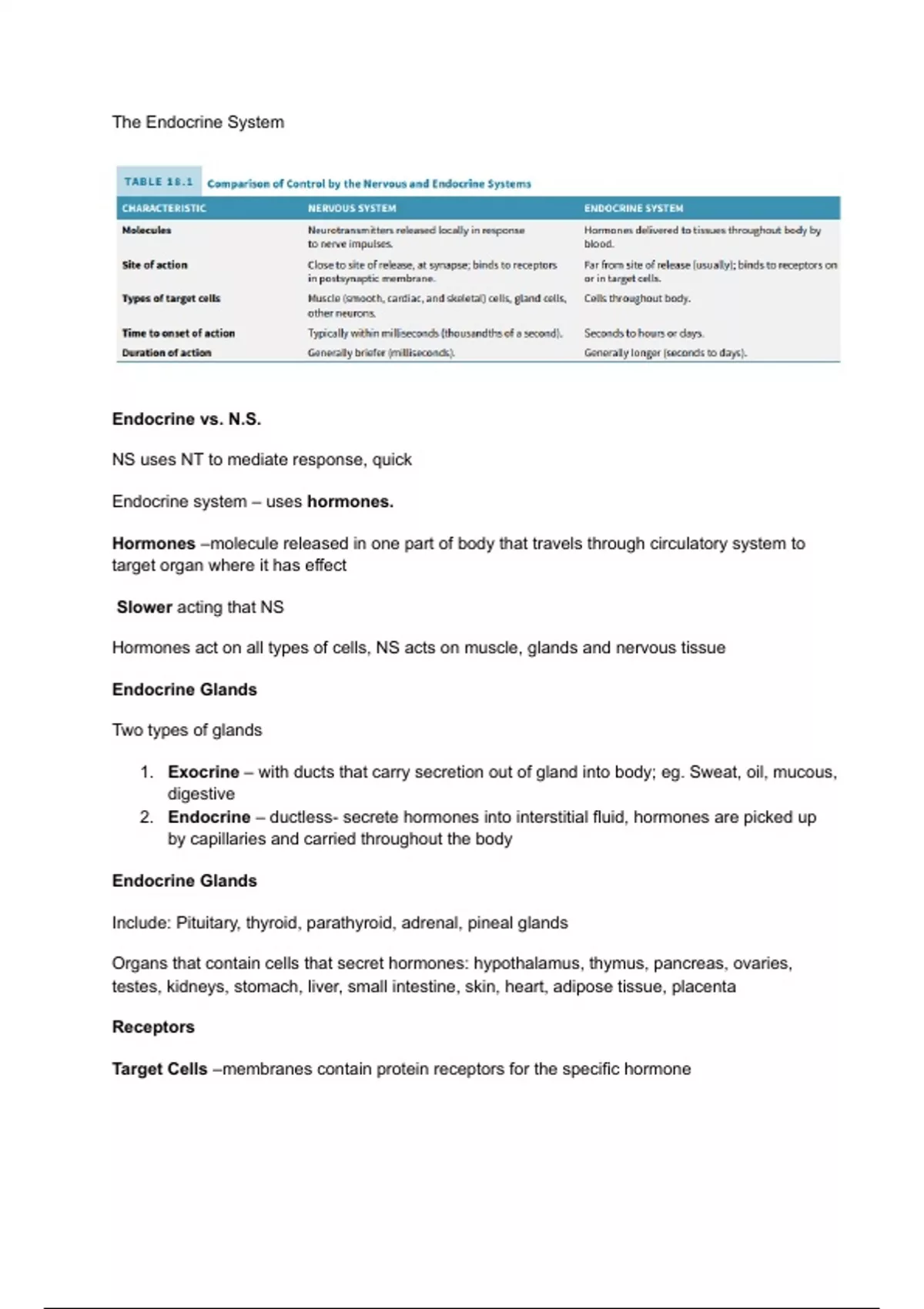 The Endocrine System Review - Stuvia US