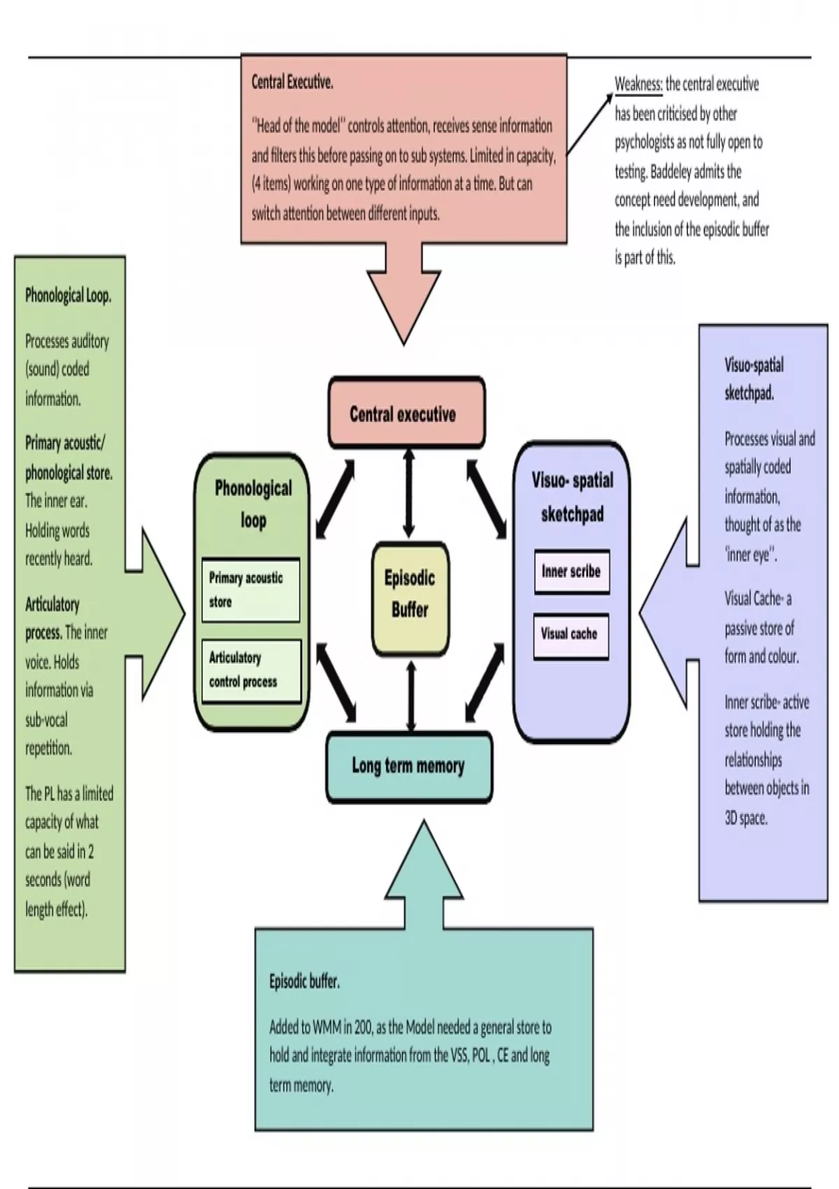 Summary Working Memory Model Diagram/Mind map - Memory - Stuvia UK