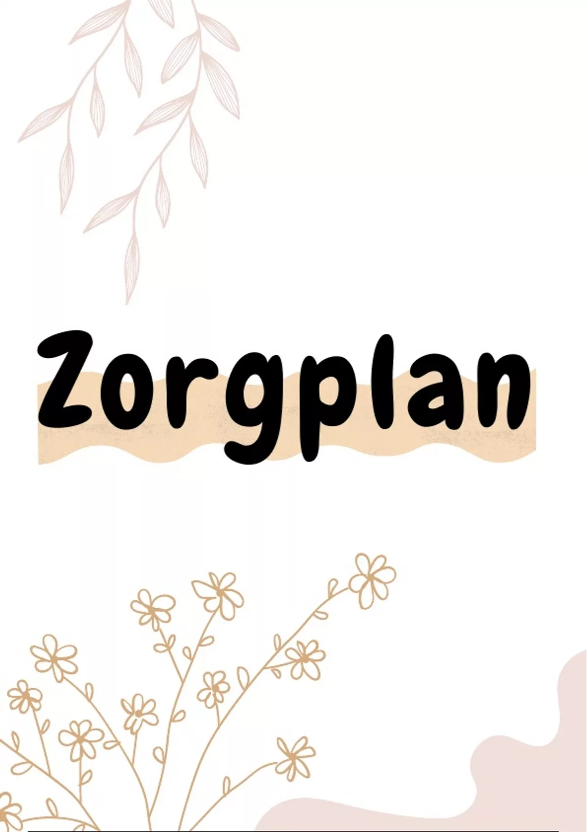 Voorbeeld Zorgplan - Gezondheidskunde - Stuvia NL