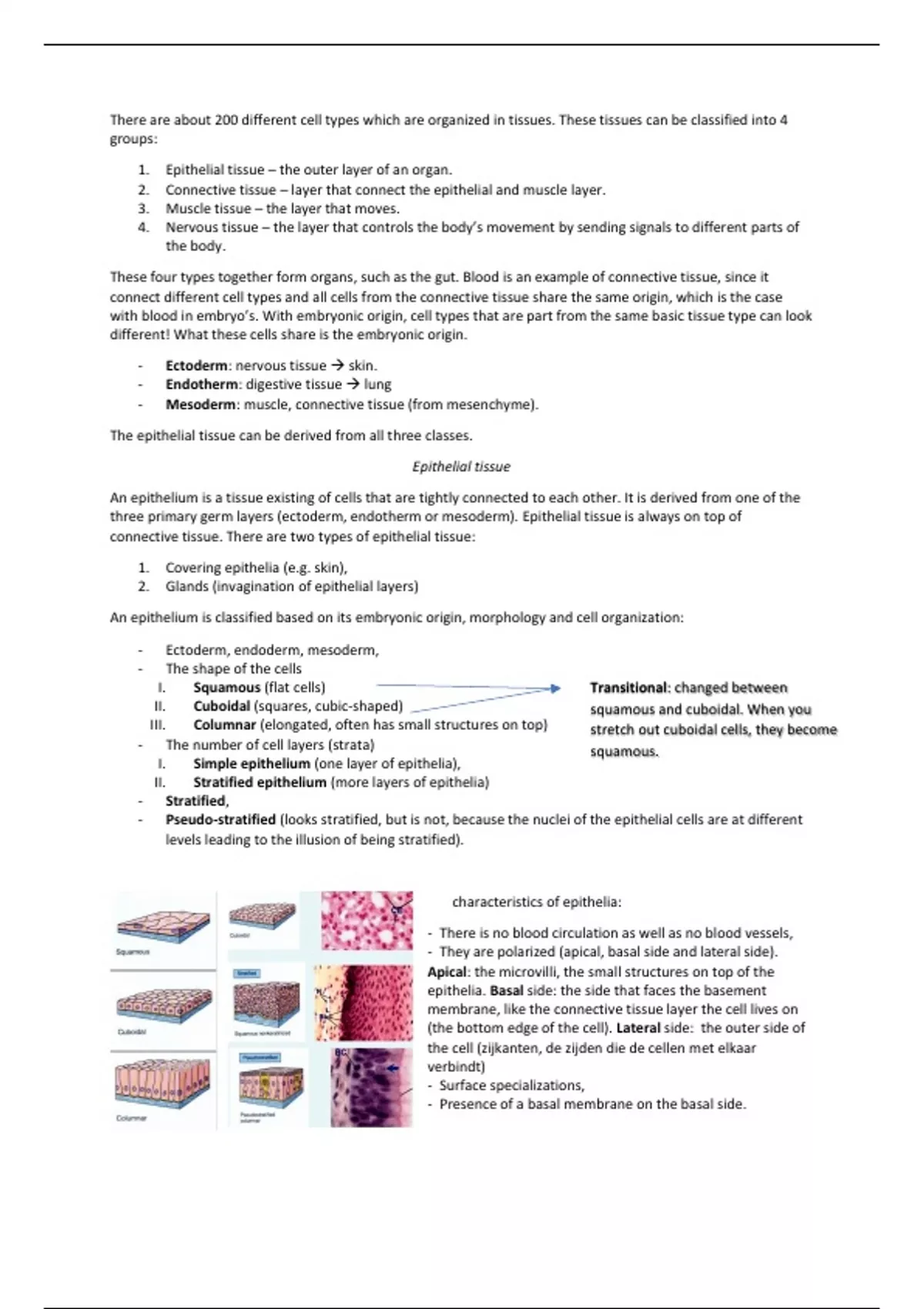 Complete summary cell biology - histology at VU Amsterdam - (AB_1138 ...